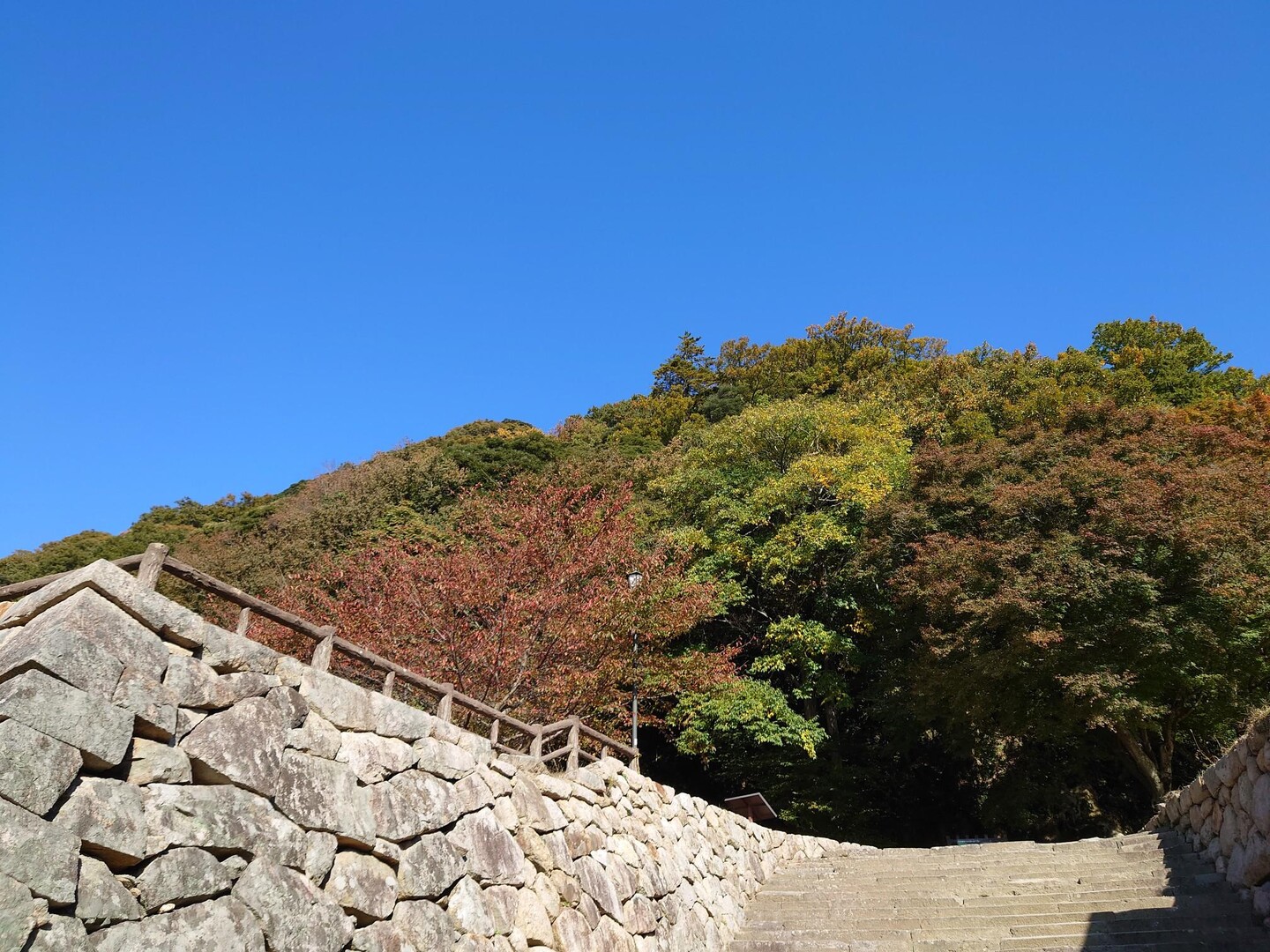 本陣山・久松山 / saiさんの久松山・本陣山・摩尼山の活動データ | YAMAP / ヤマップ