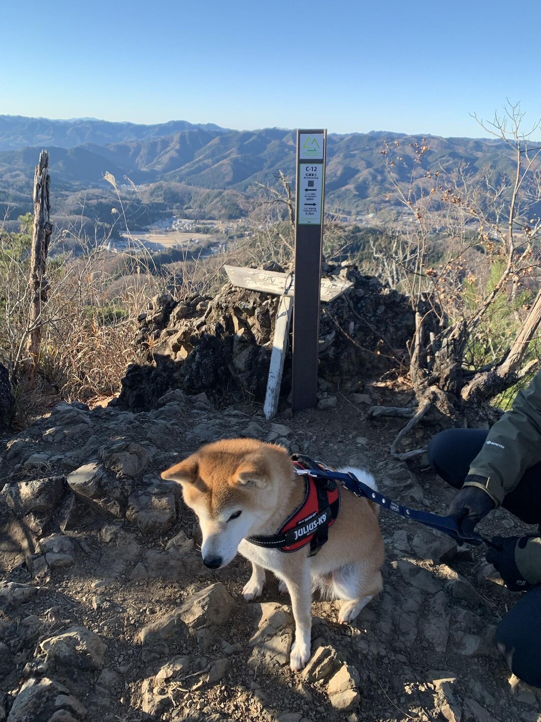 生瀬富士・立神山・月居山 ジャンダルムはまた今度 / ・p_natsu さんの生瀬富士・大子アルプスの活動データ | YAMAP / ヤマップ