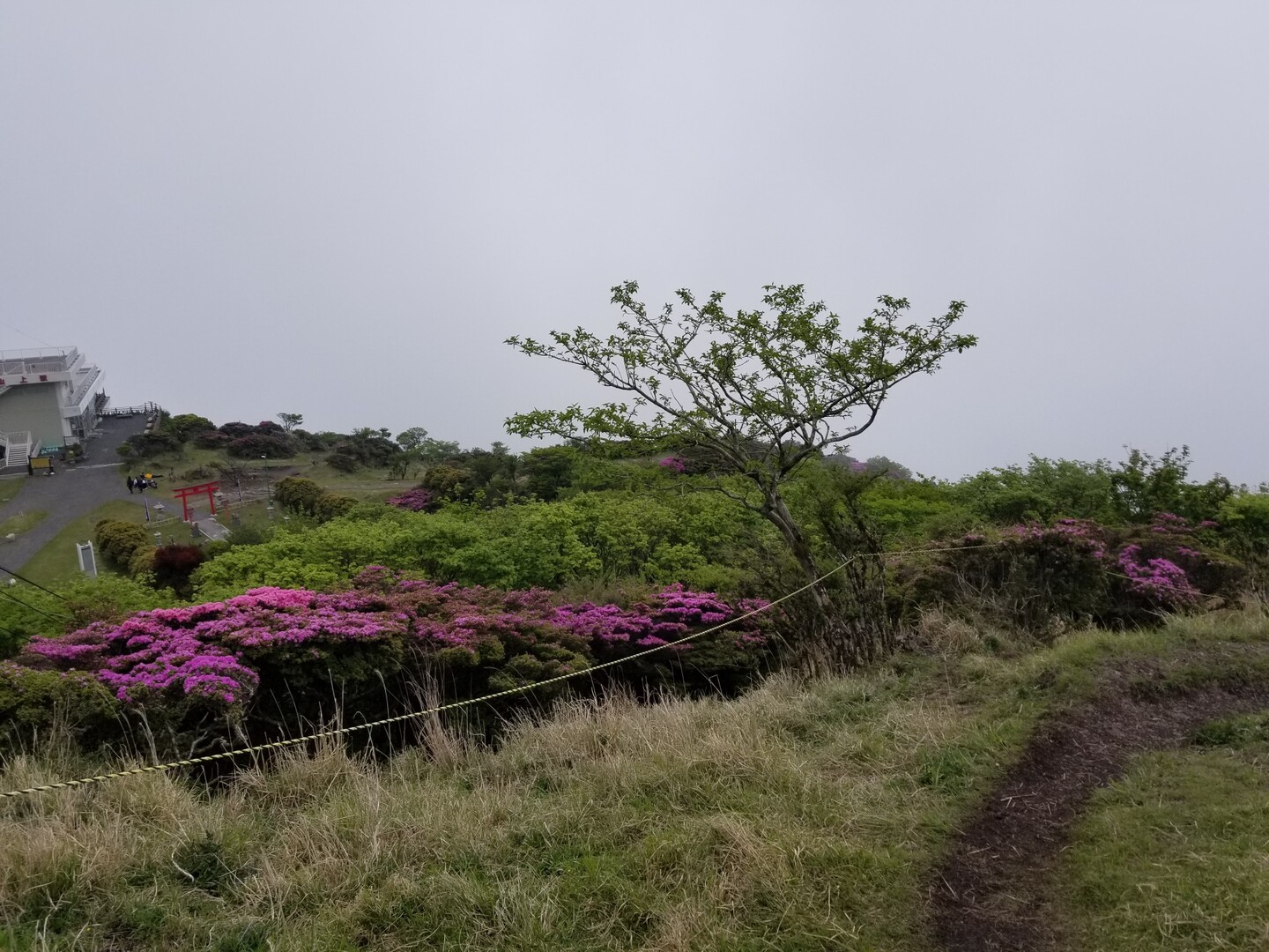 2022/5/15鶴見岳一気登山🗻初登... / ☘️ともP☘️さんのモーメント | YAMAP / ヤマップ