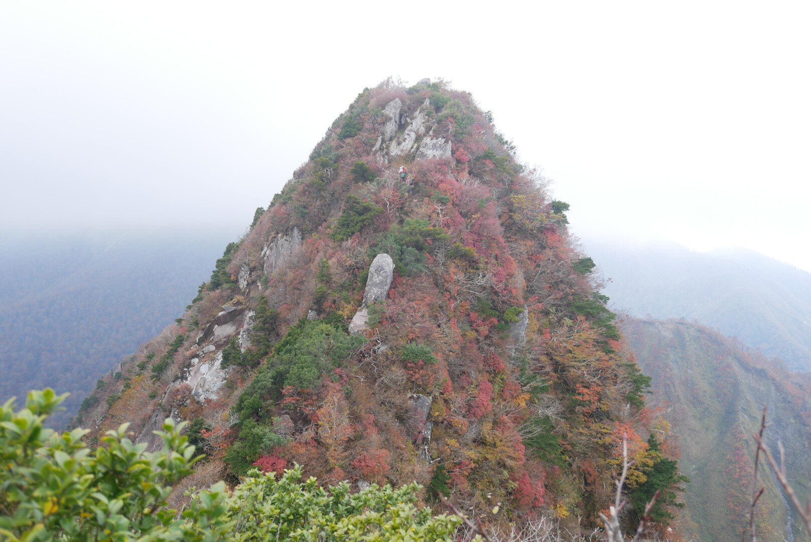 紅葉の烏ヶ山を裏→表縦走 / masa599さんの烏ヶ山・象山（笹ヶ峰）の活動データ | YAMAP / ヤマップ