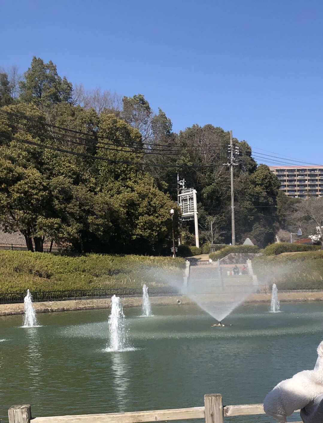 春のような天気でした ゆっくりリハビリお... / SCORE さんのモーメント | YAMAP / ヤマップ