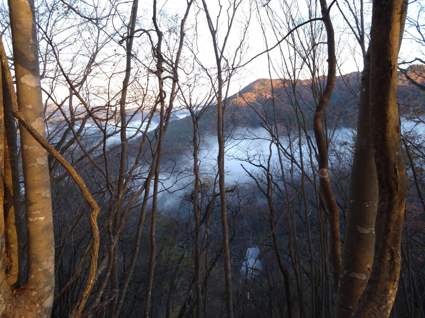 SOTA JA/GF-192 / muuさんの高賀山・瓢ヶ岳・片知山の活動データ | YAMAP / ヤマップ