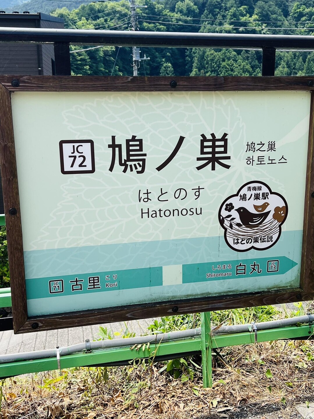 奥多摩ウォーキングトレイル:鳩の巣渓谷 / Amy(エイミー)さんの大岳山・御岳山・御前山の活動データ | YAMAP / ヤマップ