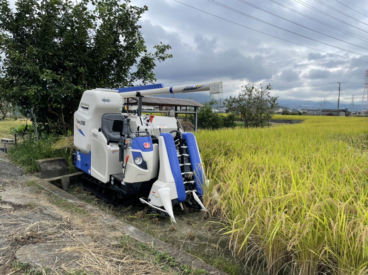 収穫の秋なのでしばらく登山はお休みしてい... / do-kichiさんのモーメント | YAMAP / ヤマップ