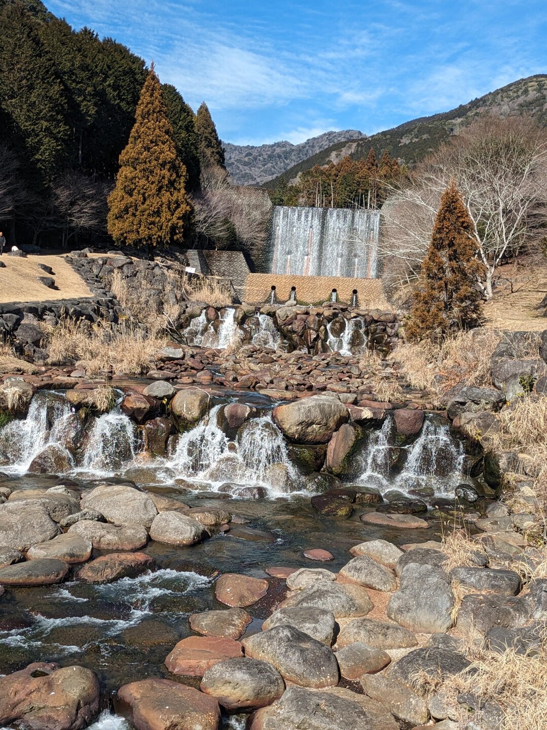 桃沢川ウォーキング-2024-02-14 / t_koizumiさんのウォーキングの活動データ | YAMAP / ヤマップ