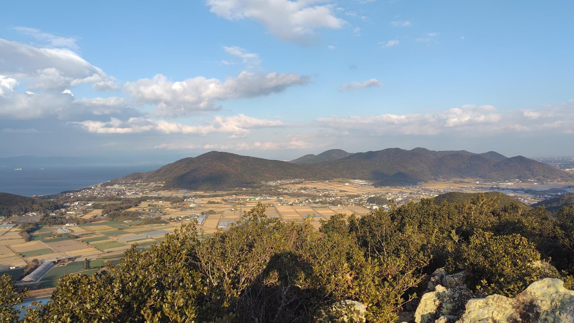オオトギス / 141さんの雨乞山・大山・西山の活動データ | YAMAP / ヤマップ