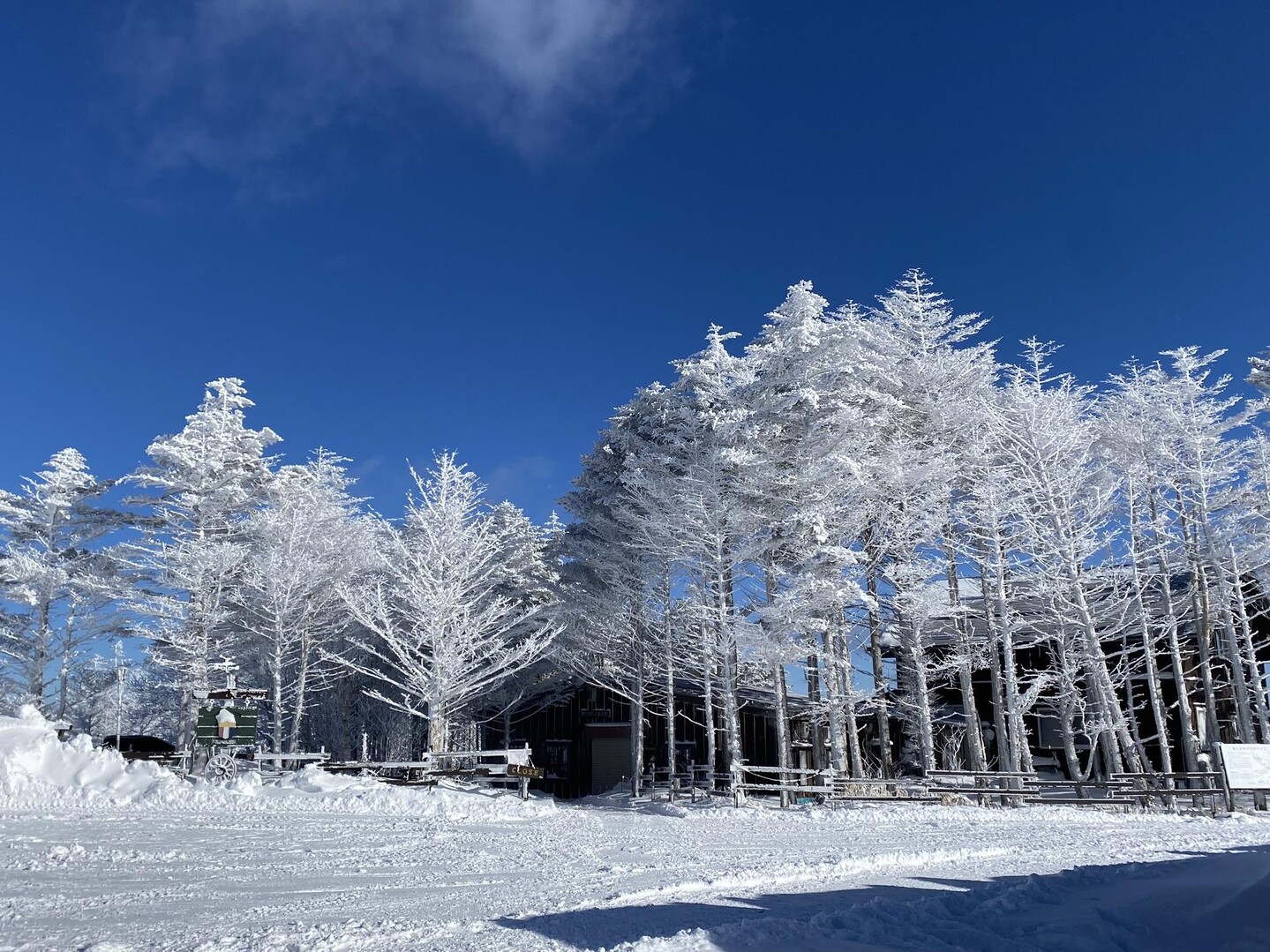 ️雪山遠征の2日目は霧ヶ峰（車山）へ / クー0504さんの霧ヶ峰・車山・大笹峰の活動データ | YAMAP / ヤマップ