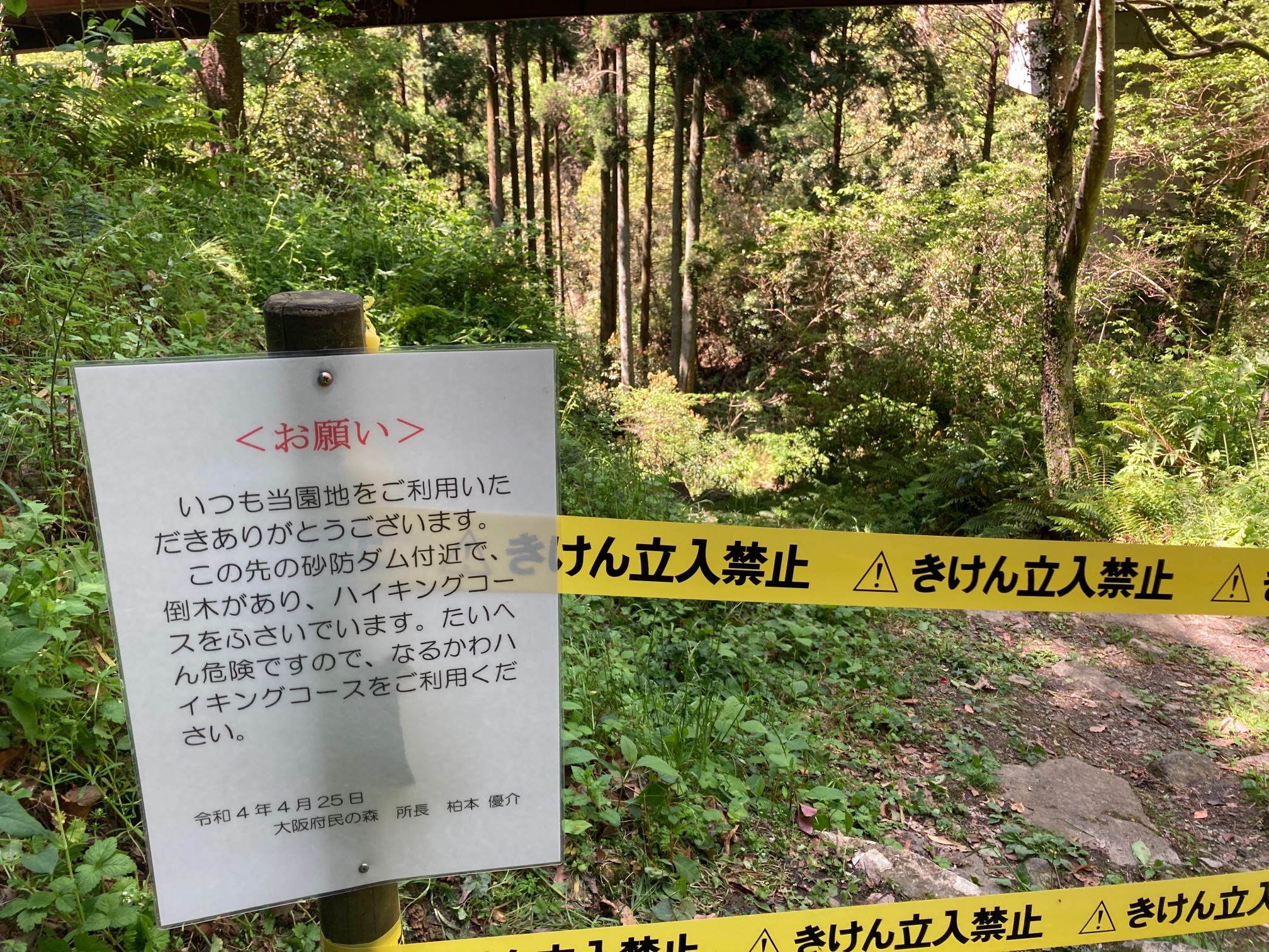 ふたり時間TVさんの投稿したフィールドメモ | YAMAP / ヤマップ