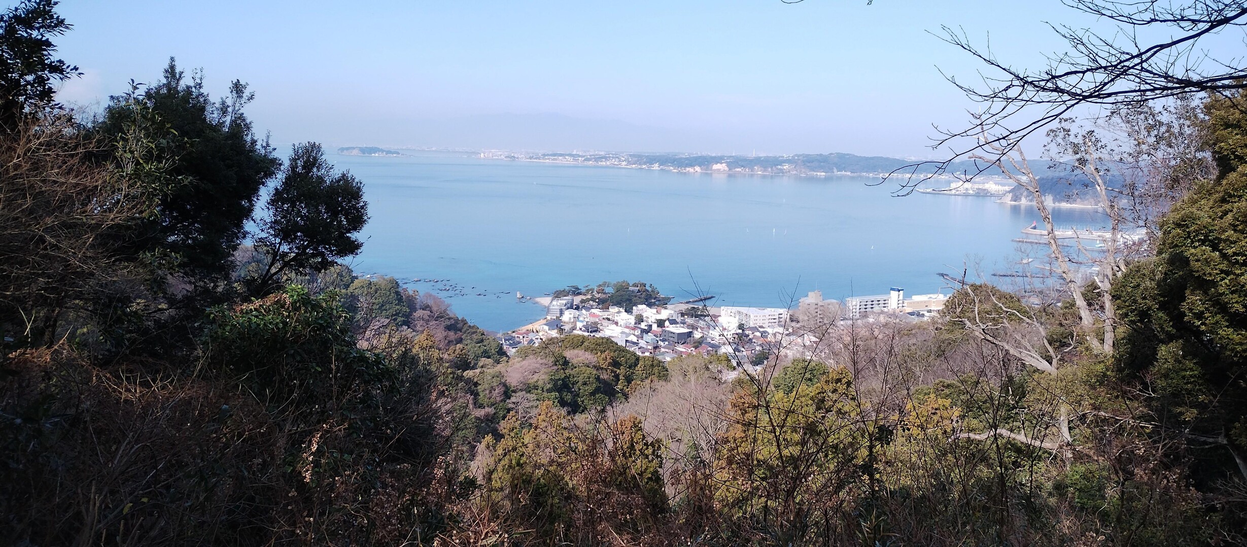 大峰山（東尾根、西尾根、真名瀬コース） / tarouさんの三浦アルプス・二子山・仙元山の活動データ | YAMAP / ヤマップ