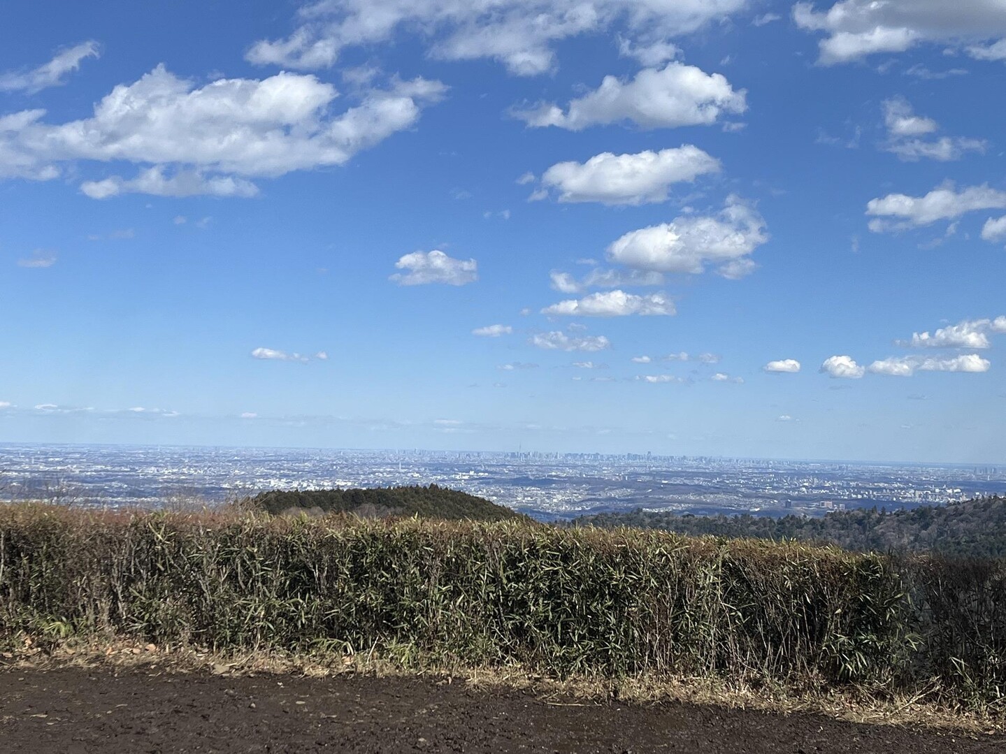 高尾山・城山（小仏城山）・峰尾山 / ろいたそさんの高尾山・陣馬山・景信山の活動データ | YAMAP / ヤマップ