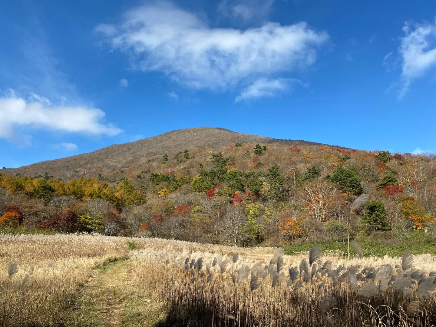 北泉ヶ岳・泉ヶ岳 / kung-fuさんの船形山（御所山）・泉ヶ岳・蛇ヶ岳の活動データ | YAMAP / ヤマップ