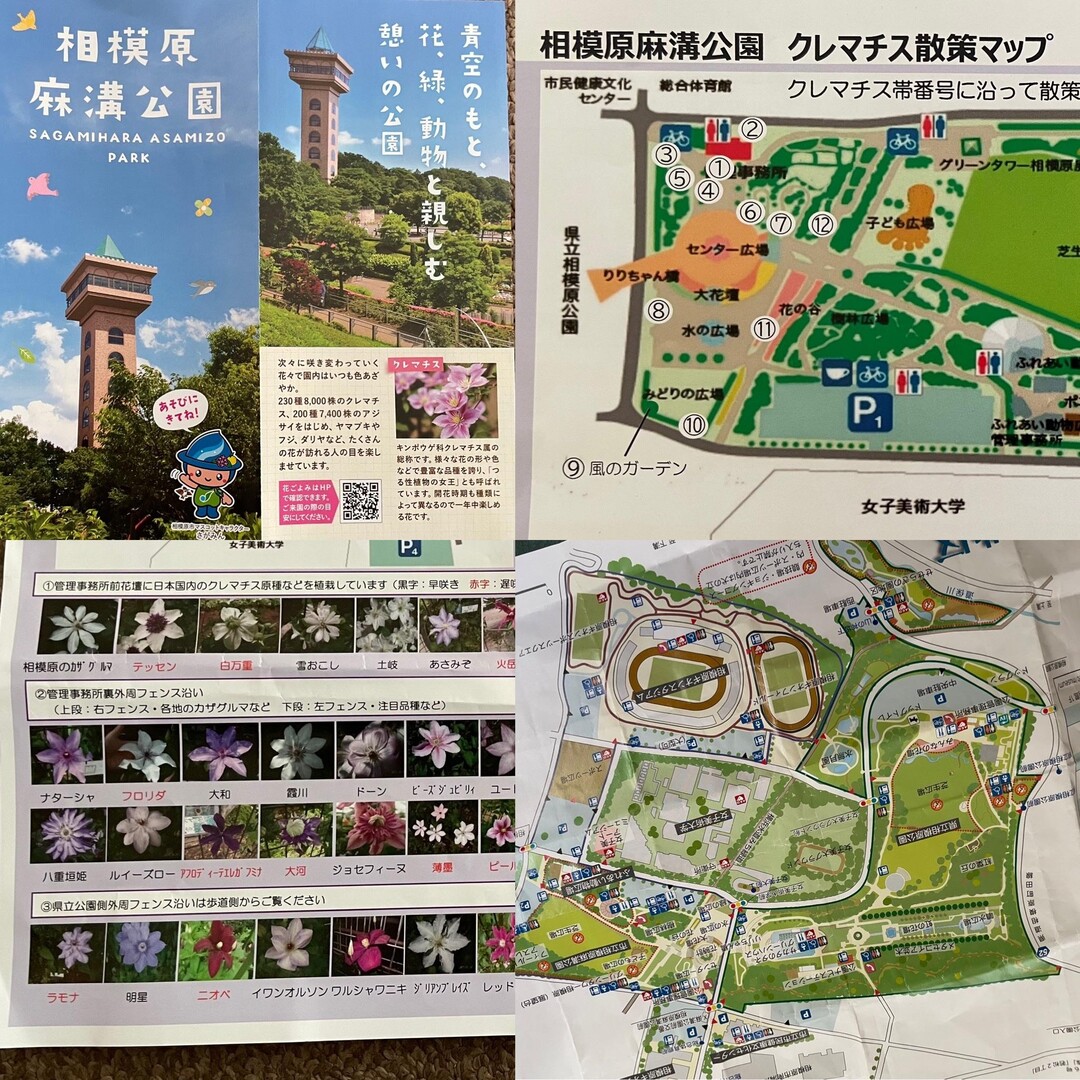 相模原麻溝公園 連休前にウォーキング 暖... / ken-3さんのモーメント | YAMAP / ヤマップ