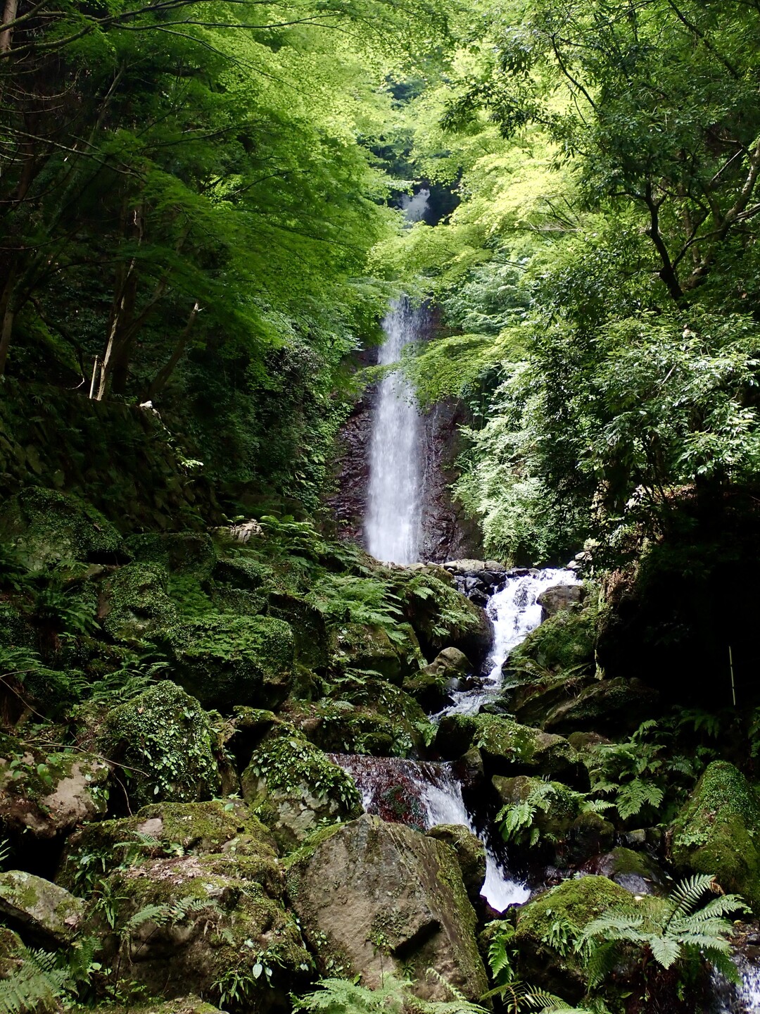 養老の滝＆直江の滝巡り / はこふぐziziさんの養老山・笙ヶ岳・三方山の活動データ | YAMAP / ヤマップ