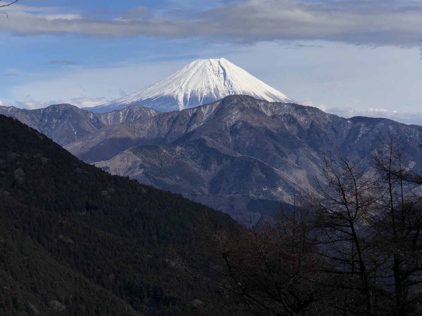丸尾・鷹取山 / Co-CHeさんの七面山・身延山の活動データ | YAMAP / ヤマップ