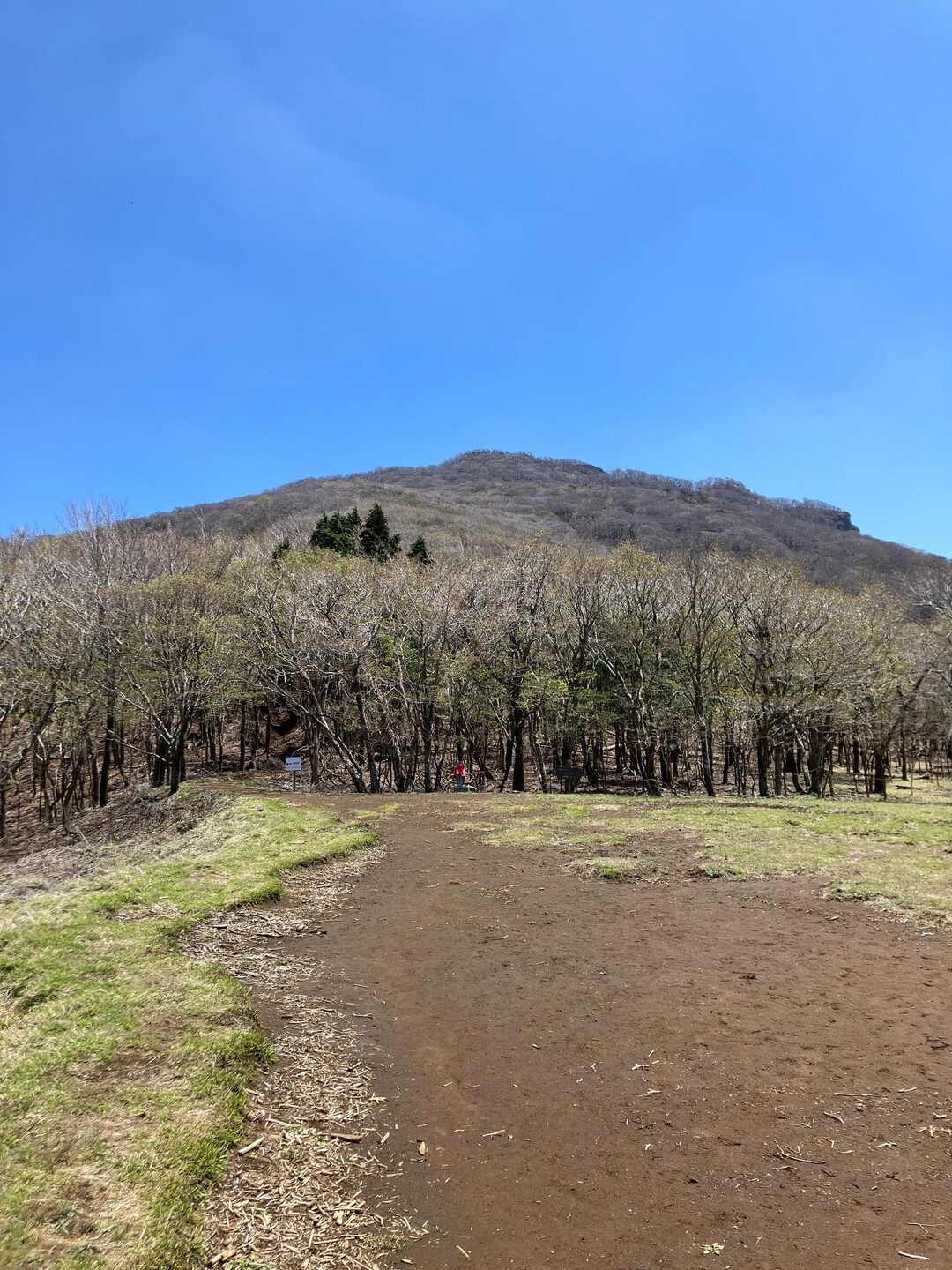 公共交通機関で九州② 祖母山(神掛岩から) / ytさんの祖母山の活動データ | YAMAP / ヤマップ