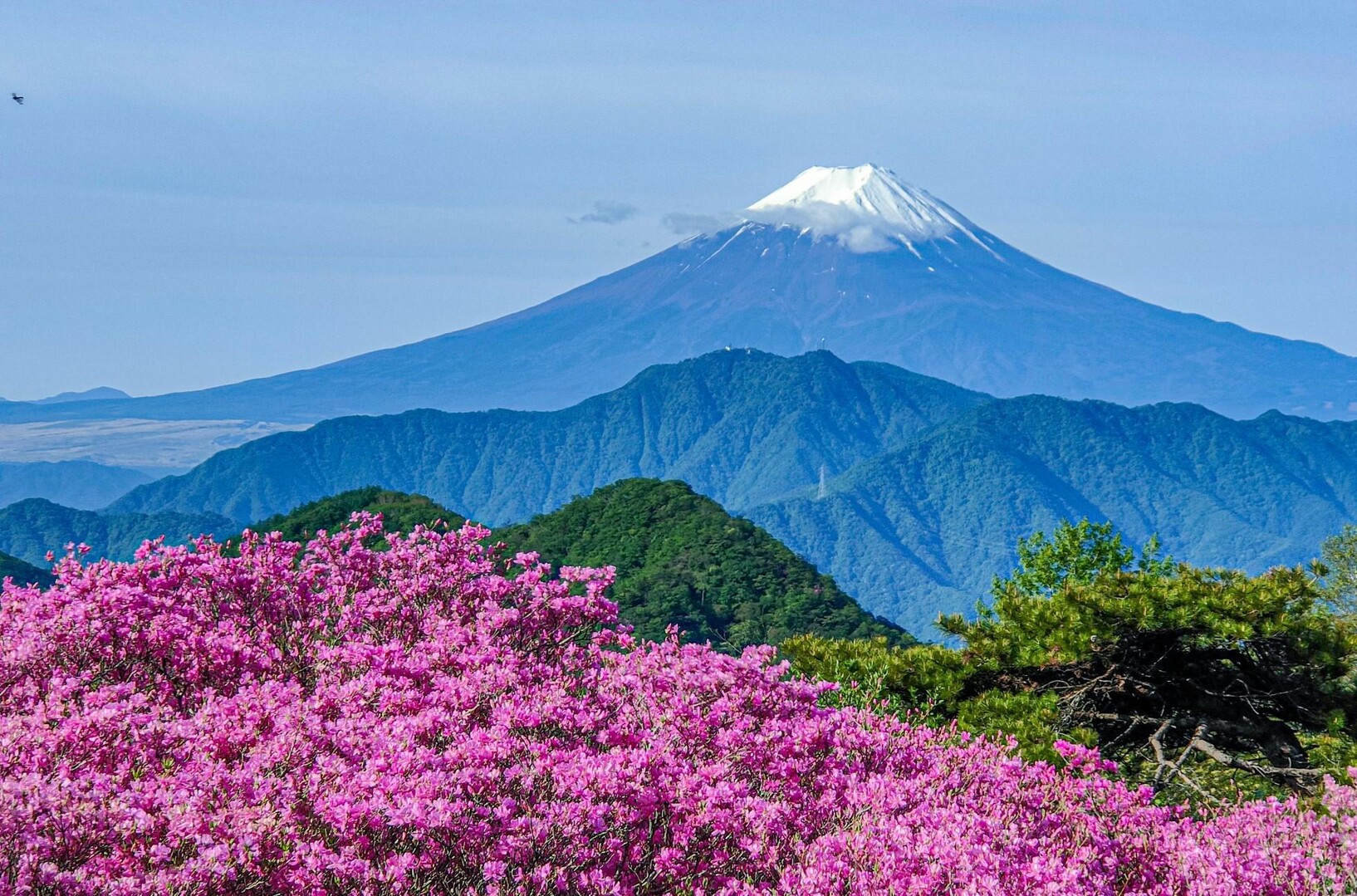 大蔵高丸・ハマイバ丸・白谷小丸・白谷ノ丸 / nobo1274さんの雁ヶ腹摺山・岩殿山の活動データ | YAMAP / ヤマップ