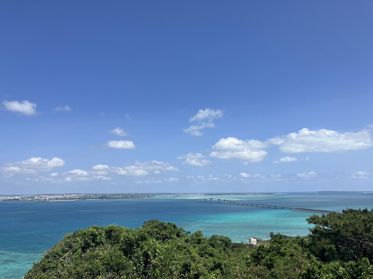 牧山・コンマブキャー御嶽 / ROMIさんの宮古島の活動データ | YAMAP / ヤマップ