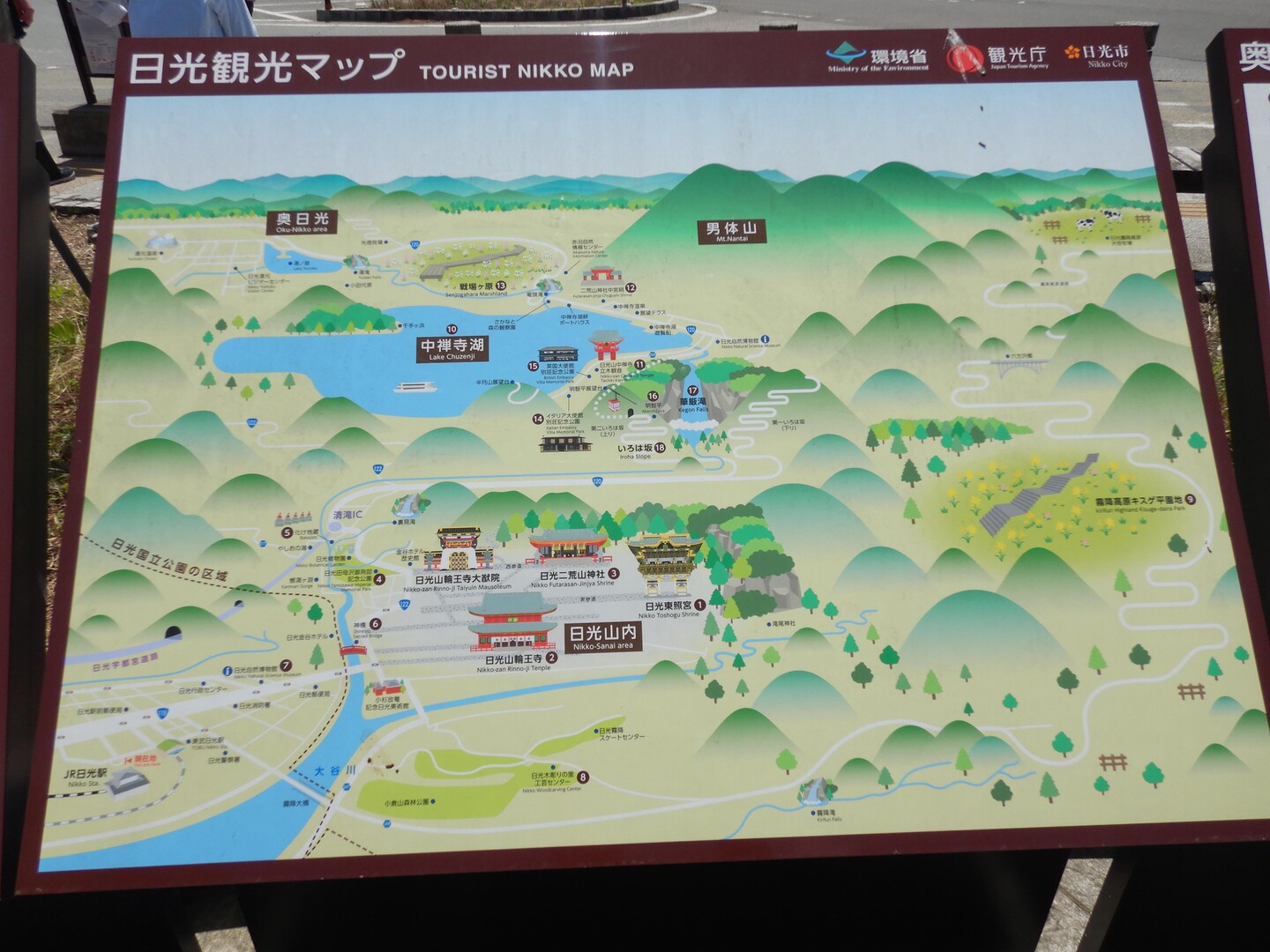 【ギネス認定！世界一長い並木道】日光並木街道を歩く / m yokoさんのウォーキングの活動日記 | YAMAP / ヤマップ