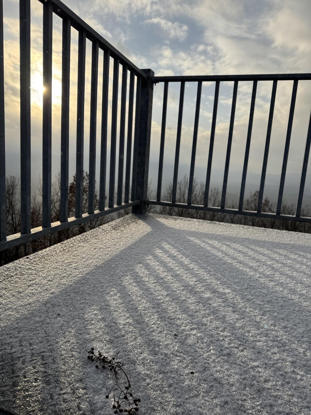 月出山岳（二番坊主）・月出山岳（一番坊主） / Fumiさんの月出山岳の活動データ | YAMAP / ヤマップ