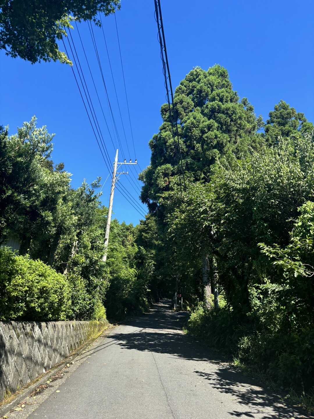 堀山・塔ノ岳 / hitomiさんの塔ノ岳・丹沢山・蛭ヶ岳の活動データ | YAMAP / ヤマップ