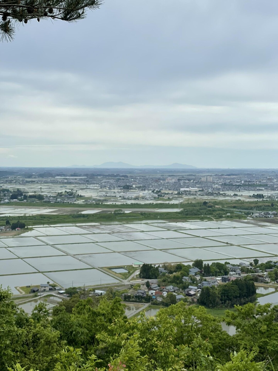 加治要害山20230514 / Kuさんの櫛形山・鳥坂山・大峰山（櫛形山脈）の活動データ | YAMAP / ヤマップ