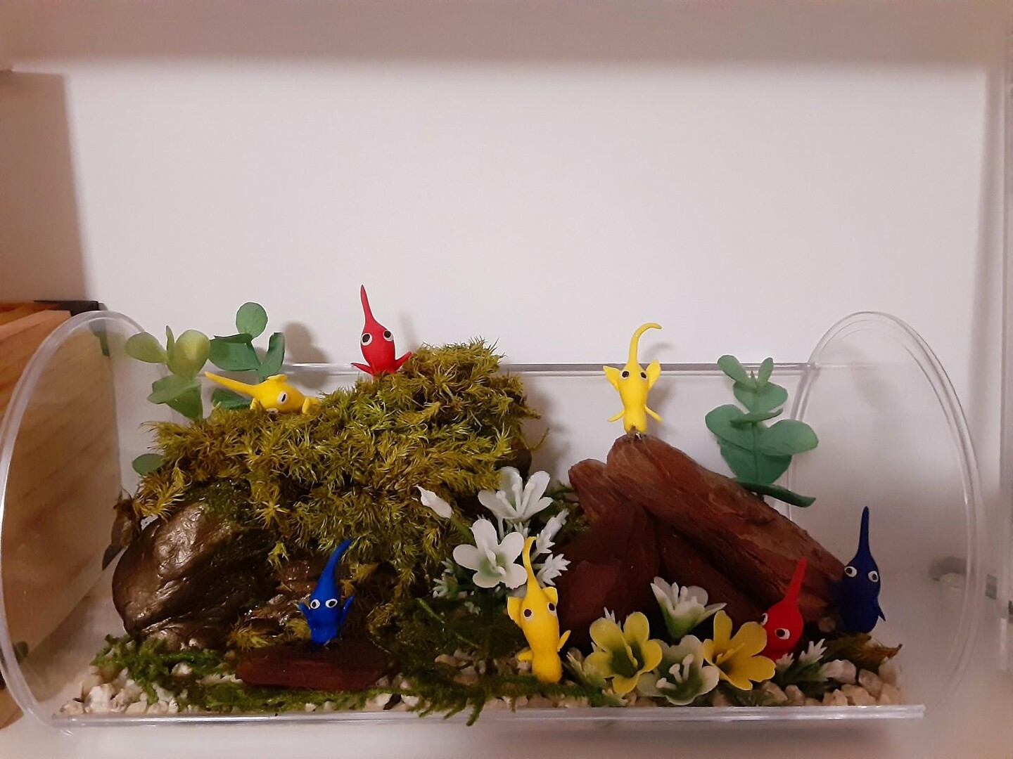 最近の私の日常。山に行けないフラストレー... / mokoさんのモーメント | YAMAP / ヤマップ