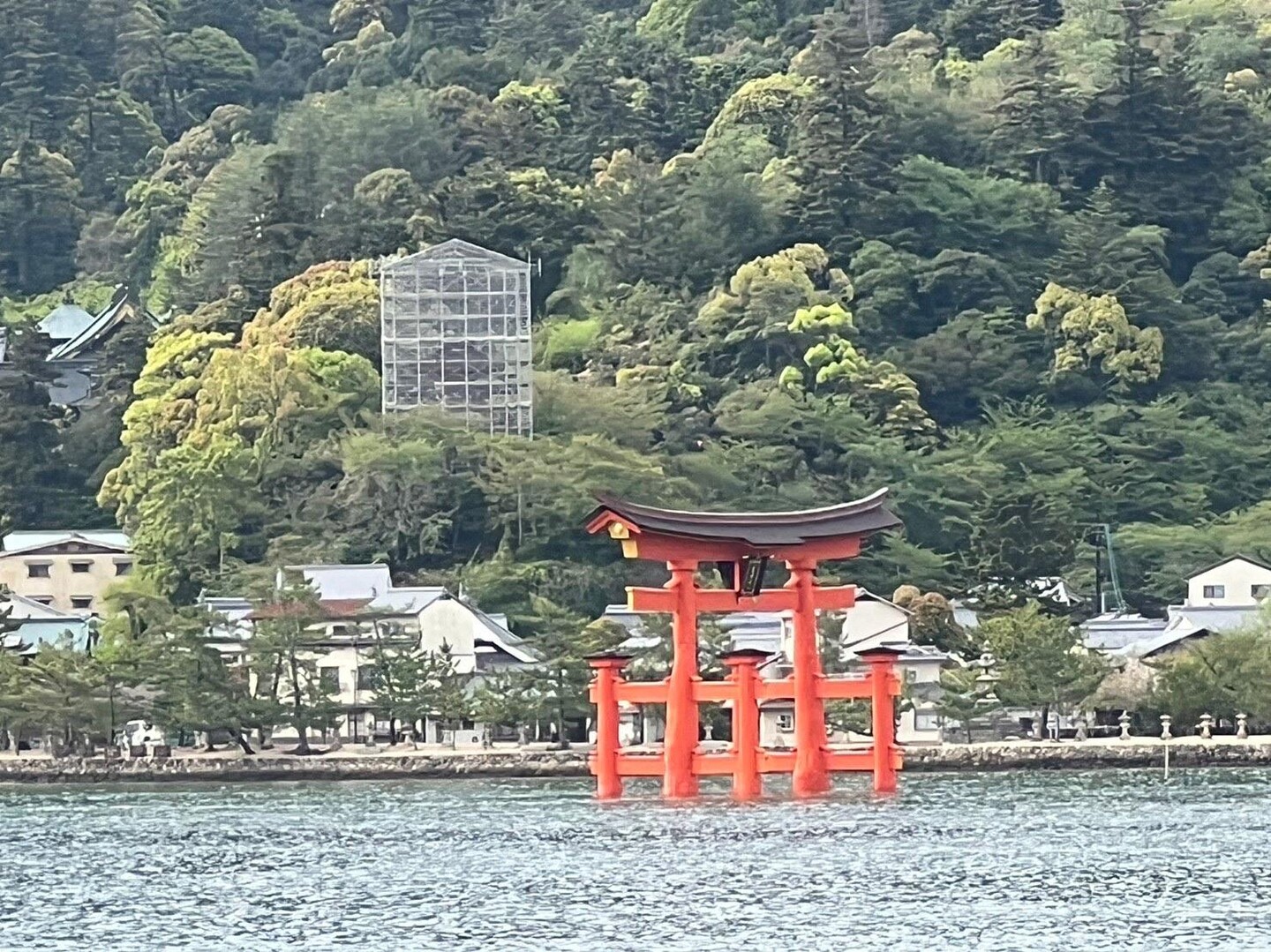 要害山・弥山 / M・Jさんの宮島（厳島）・弥山の活動データ | YAMAP / ヤマップ