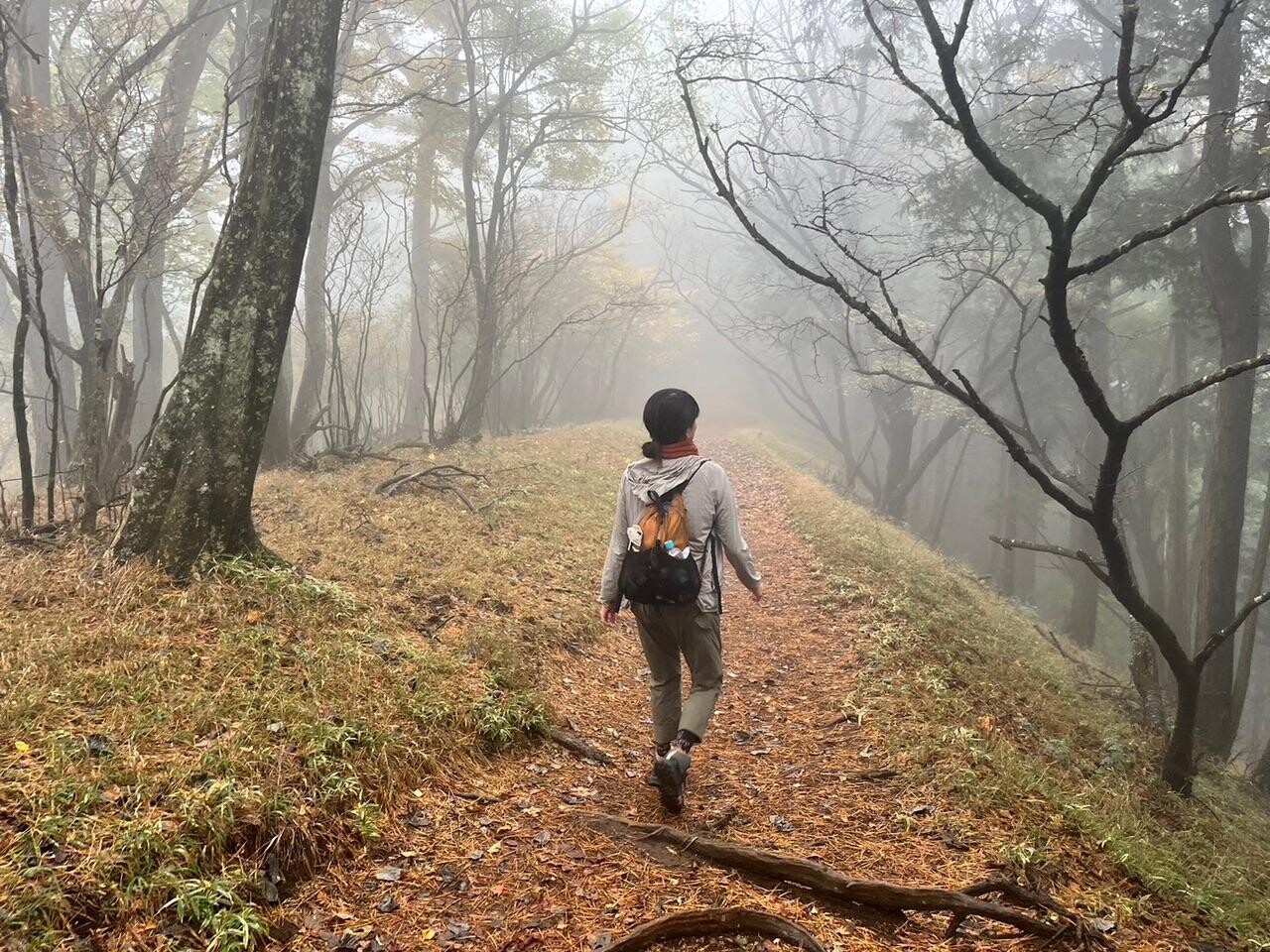 yokoのページ | YAMAP / ヤマップ