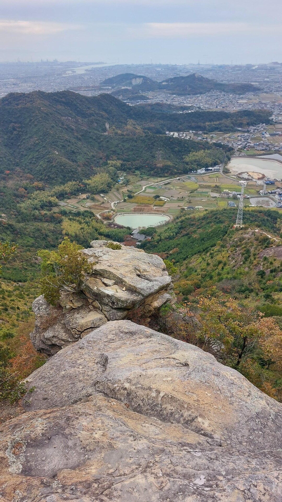 高御位山・長尾奥山・鷹ノ巣山・別所奥山 / ツムツムさんの高御位山・播磨アルプスの活動データ | YAMAP / ヤマップ