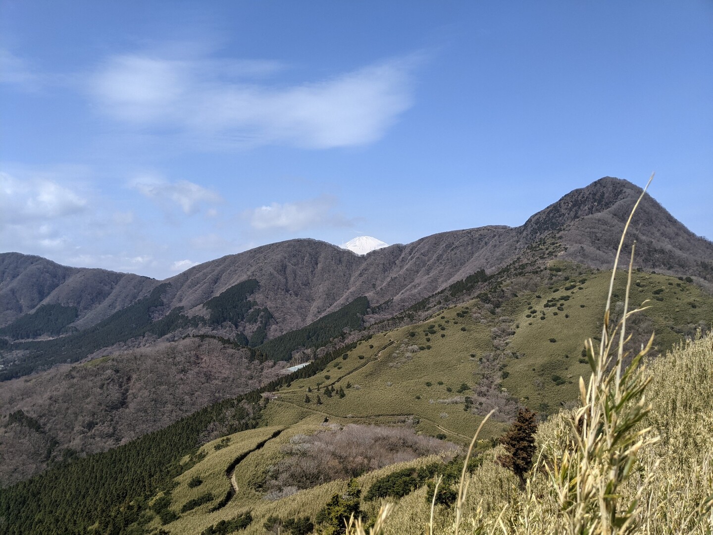 長尾山・金時山・火打石山・明神ヶ岳・明星ヶ岳・塔ノ峰 / nicomomoさんの金時山・明神ヶ岳の活動データ | YAMAP / ヤマップ