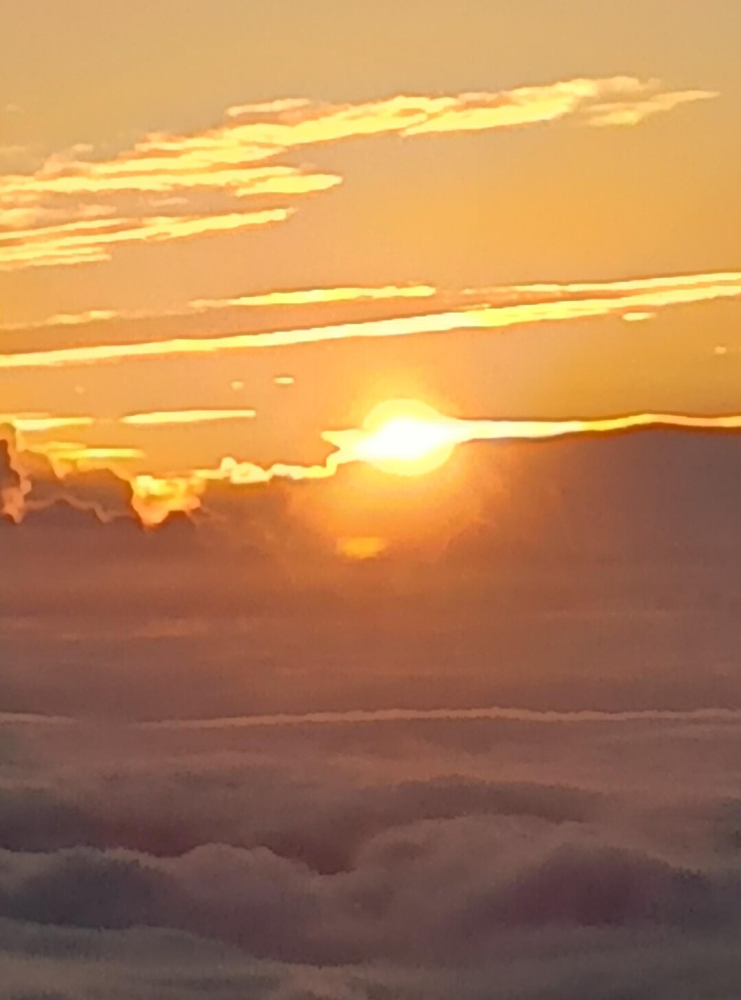 日帰り弾丸 2 1DAY 1/2座 蔵王山(熊野岳) / みのさんの蔵王山・雁戸山・不忘山の活動データ | YAMAP / ヤマップ