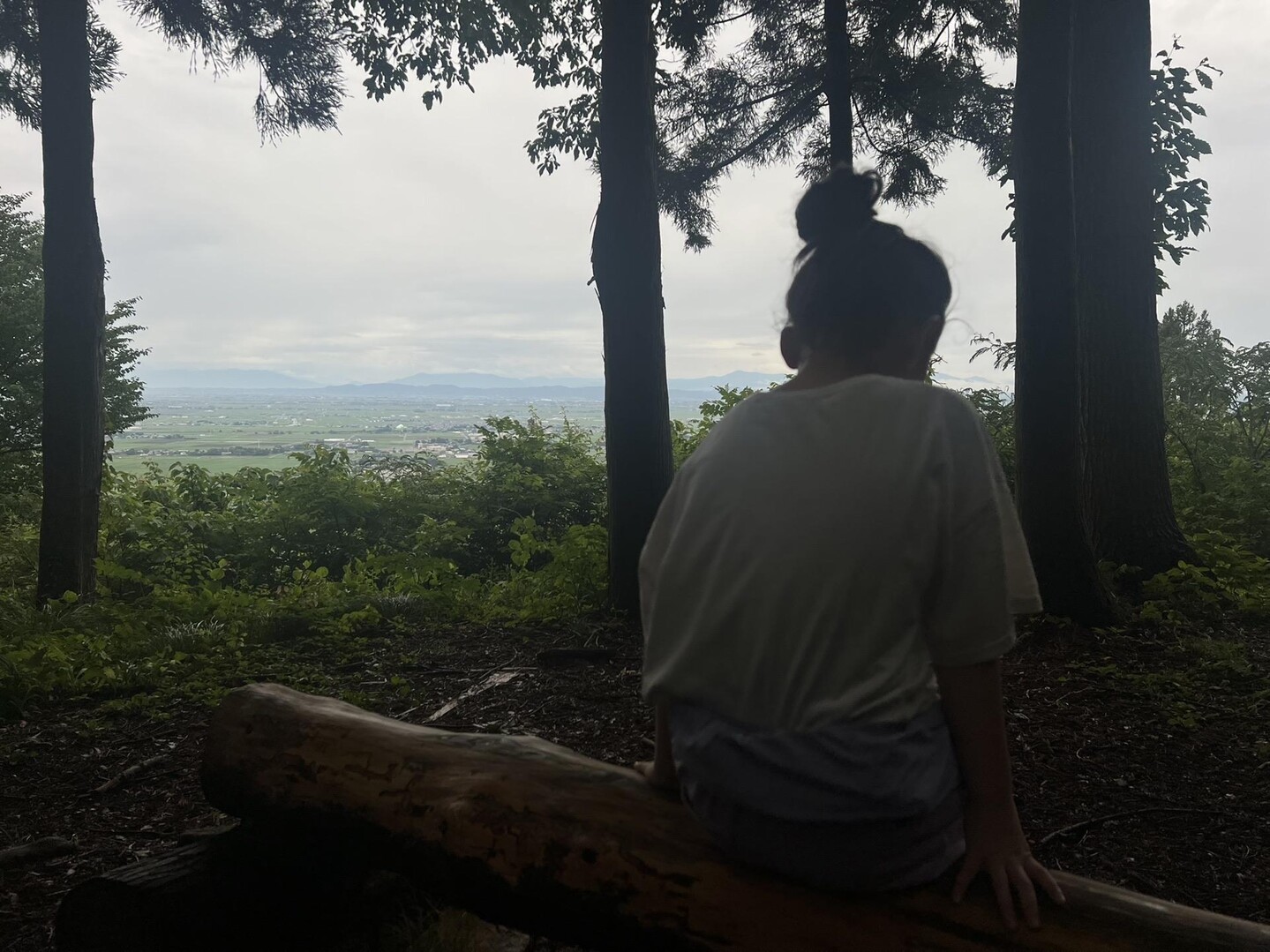 天神山 / yuichiroさんの弥彦山・多宝山・雨乞山の活動データ | YAMAP / ヤマップ