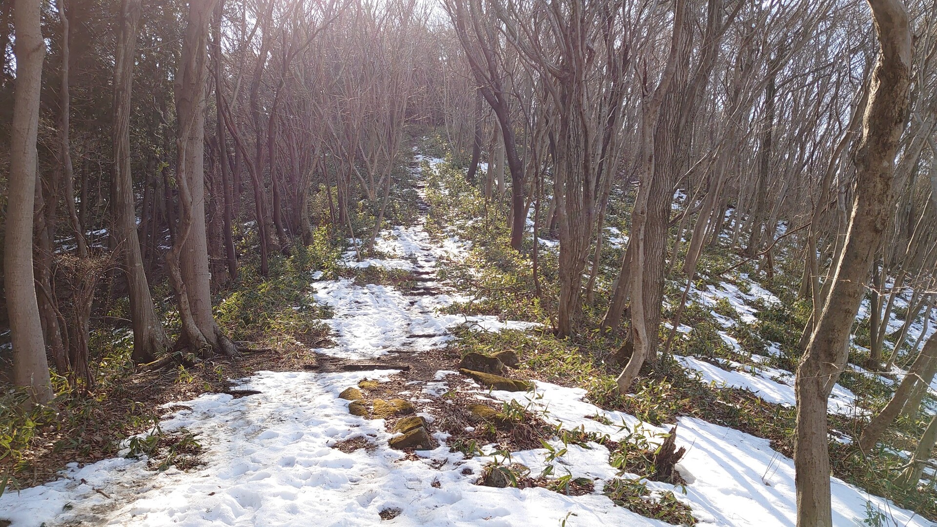 積雪の裏筑波縦走 / バンブーさんの加波山・吾国山・難台山の活動データ | YAMAP / ヤマップ
