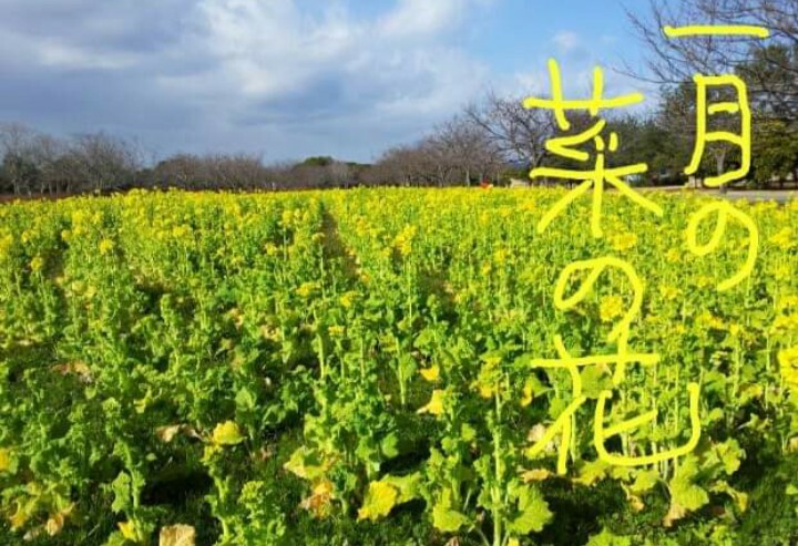 春の気配 https://youtu.b... / コックンさんのモーメント | YAMAP / ヤマップ