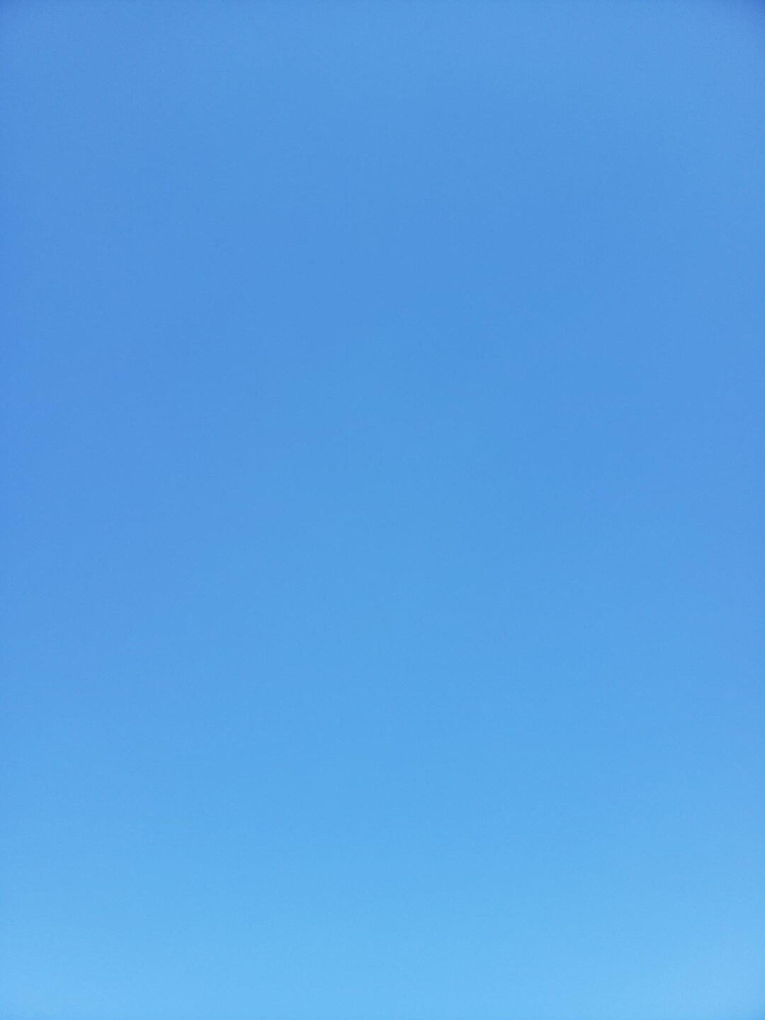 nem山のページ | YAMAP / ヤマップ