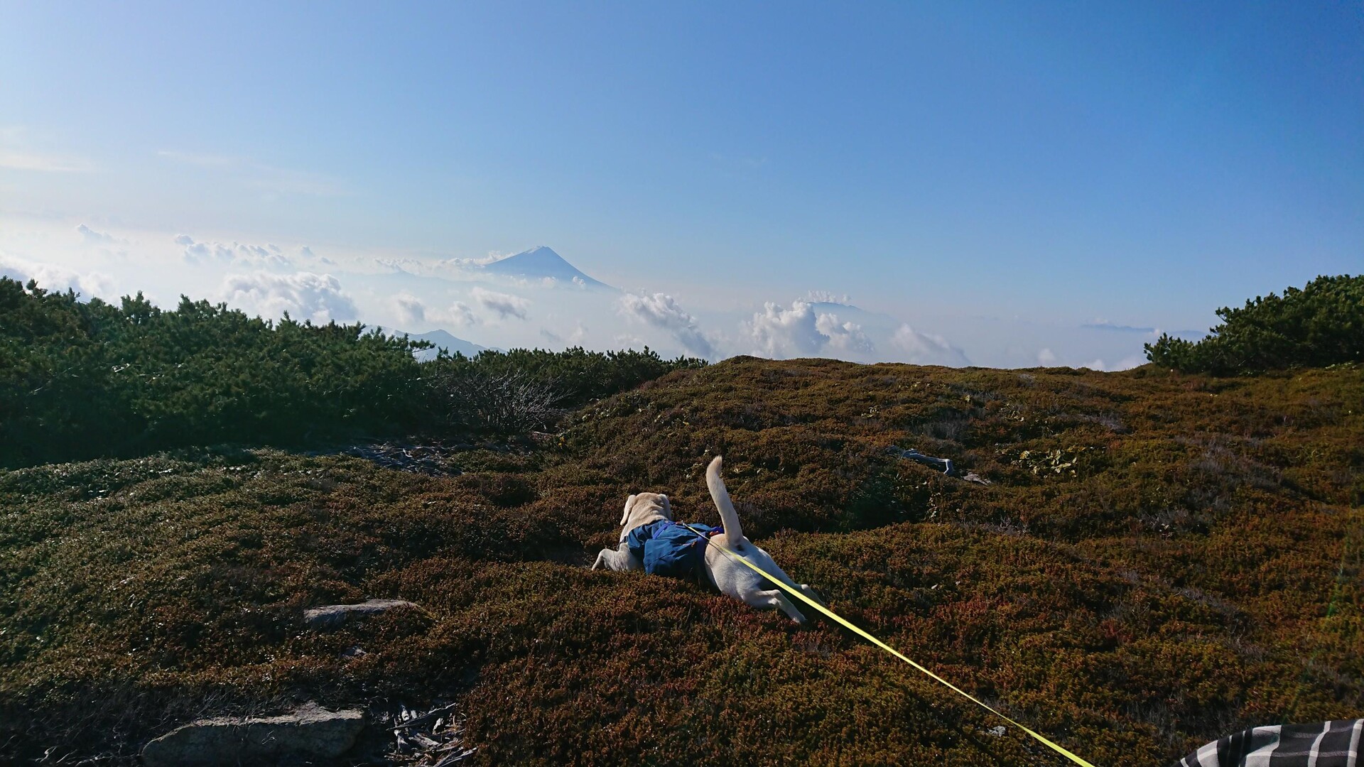 金峰山 2023.10.28 / satoさんの瑞牆山・金峰山の活動データ | YAMAP / ヤマップ