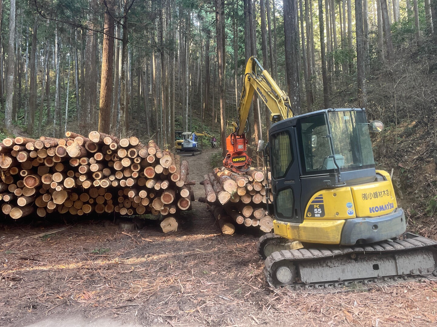 monamonaさんの投稿したフィールドメモ | YAMAP / ヤマップ