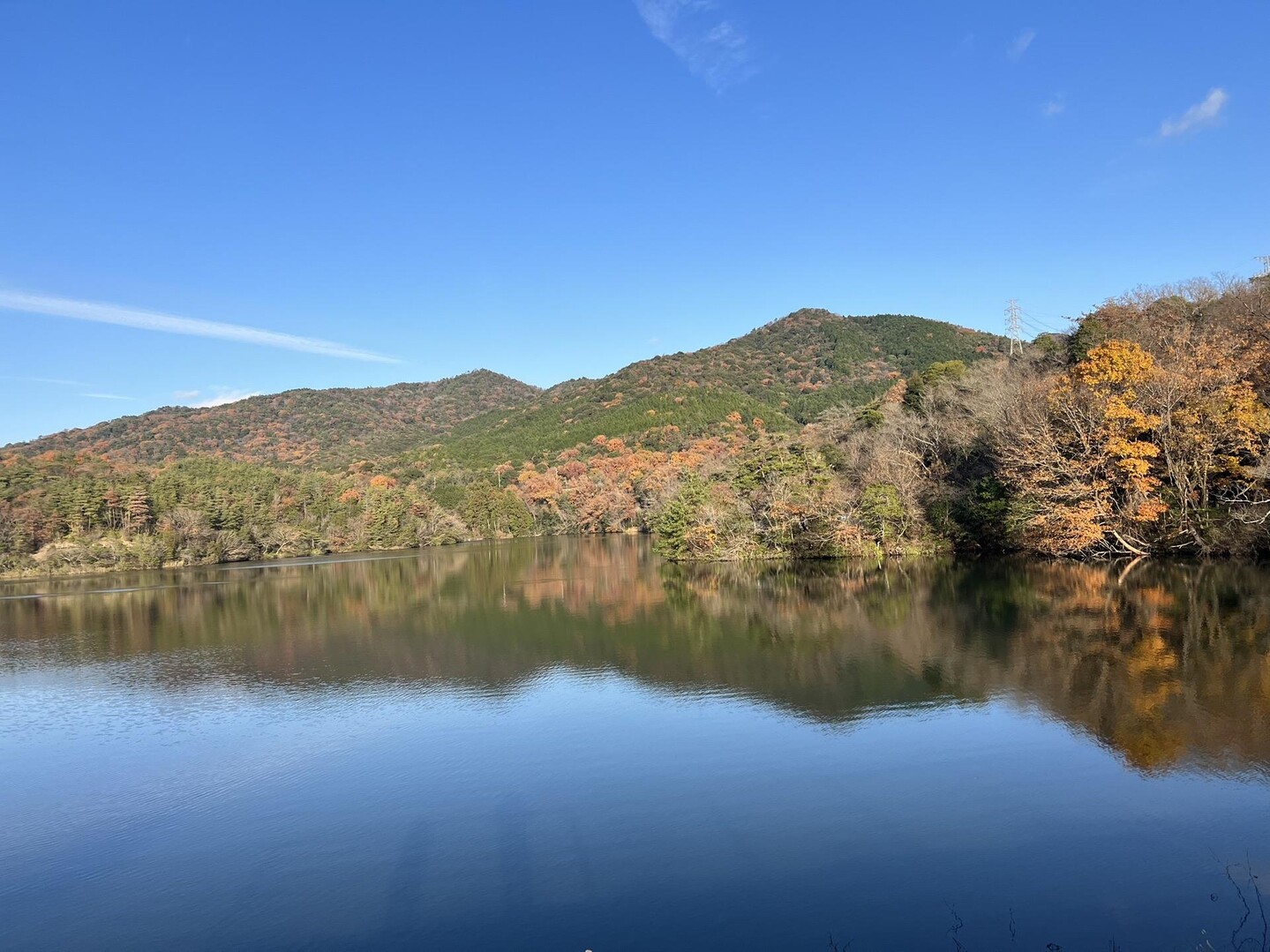 道樹山・大谷山・弥勒山・西高森山 / chihoさんの春日井三山・弥勒山・大谷山・道樹山の活動データ | YAMAP / ヤマップ