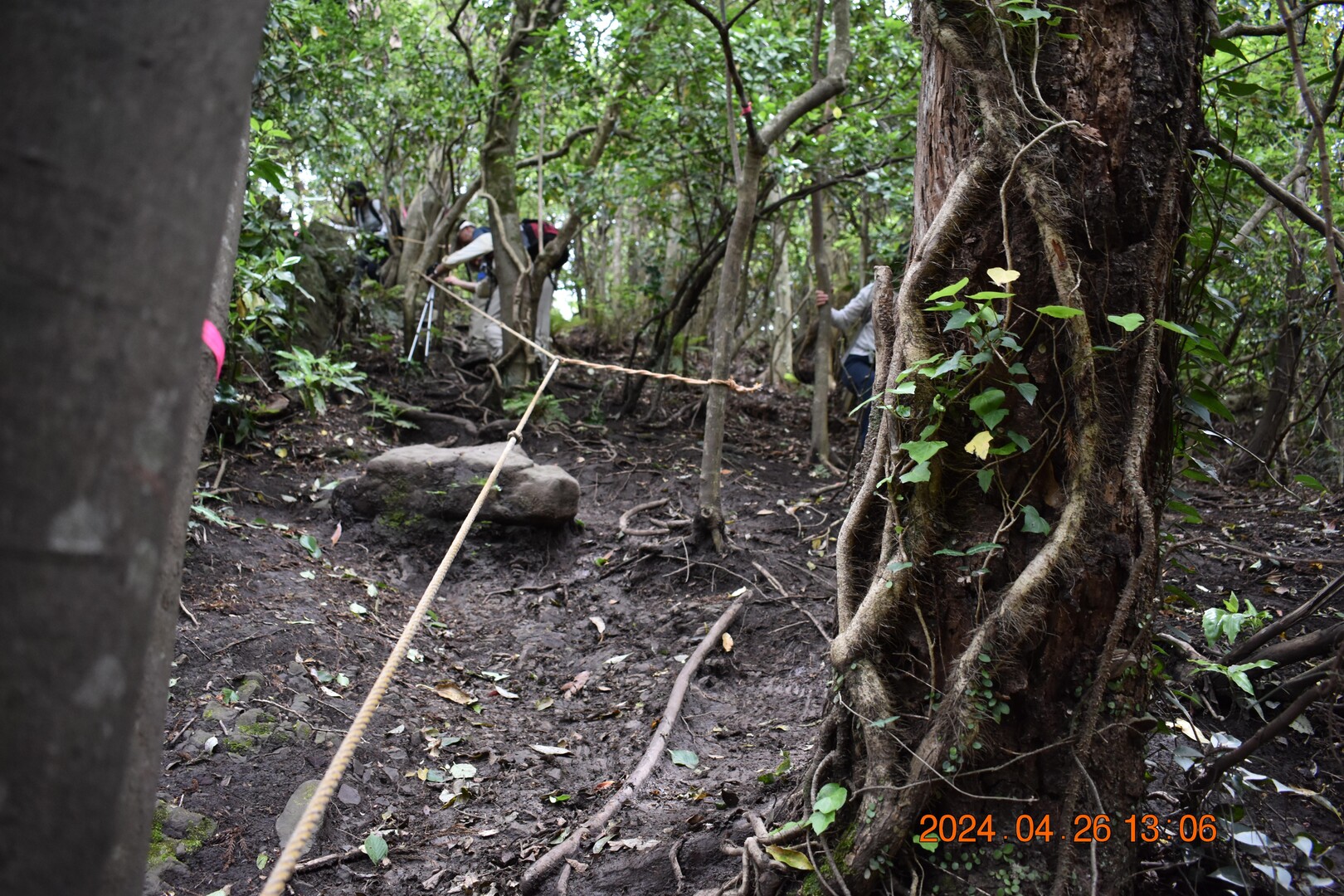 ピエール・HOSHIさんの投稿したフィールドメモ | YAMAP / ヤマップ