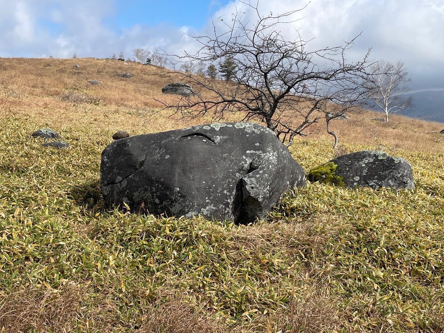 霧ヶ峰（車山） / tenboさんの霧ヶ峰・車山・大笹峰の活動データ | YAMAP / ヤマップ