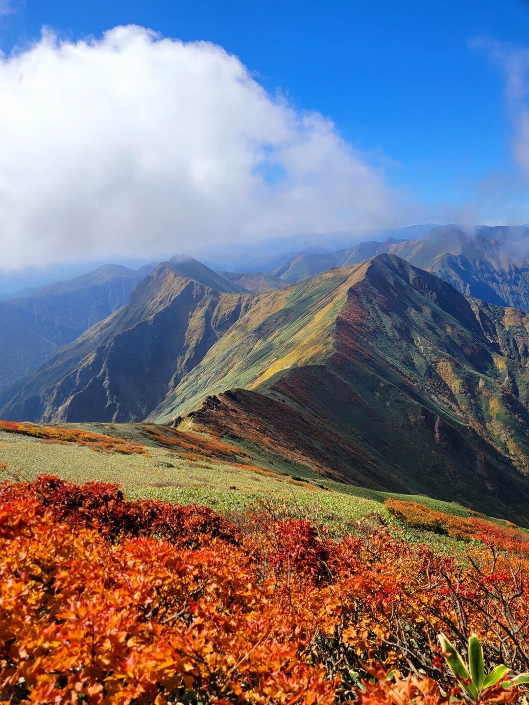 紅葉登山🍁最高すぎた谷川岳 / BOSSの山登りさんの谷川岳・七ツ小屋山・大源太山の活動データ | YAMAP / ヤマップ