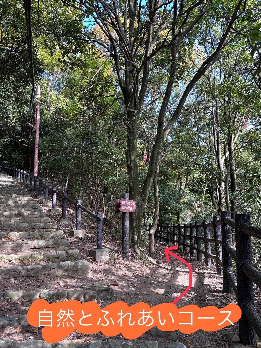 ERlii*さんの投稿したフィールドメモ | YAMAP / ヤマップ