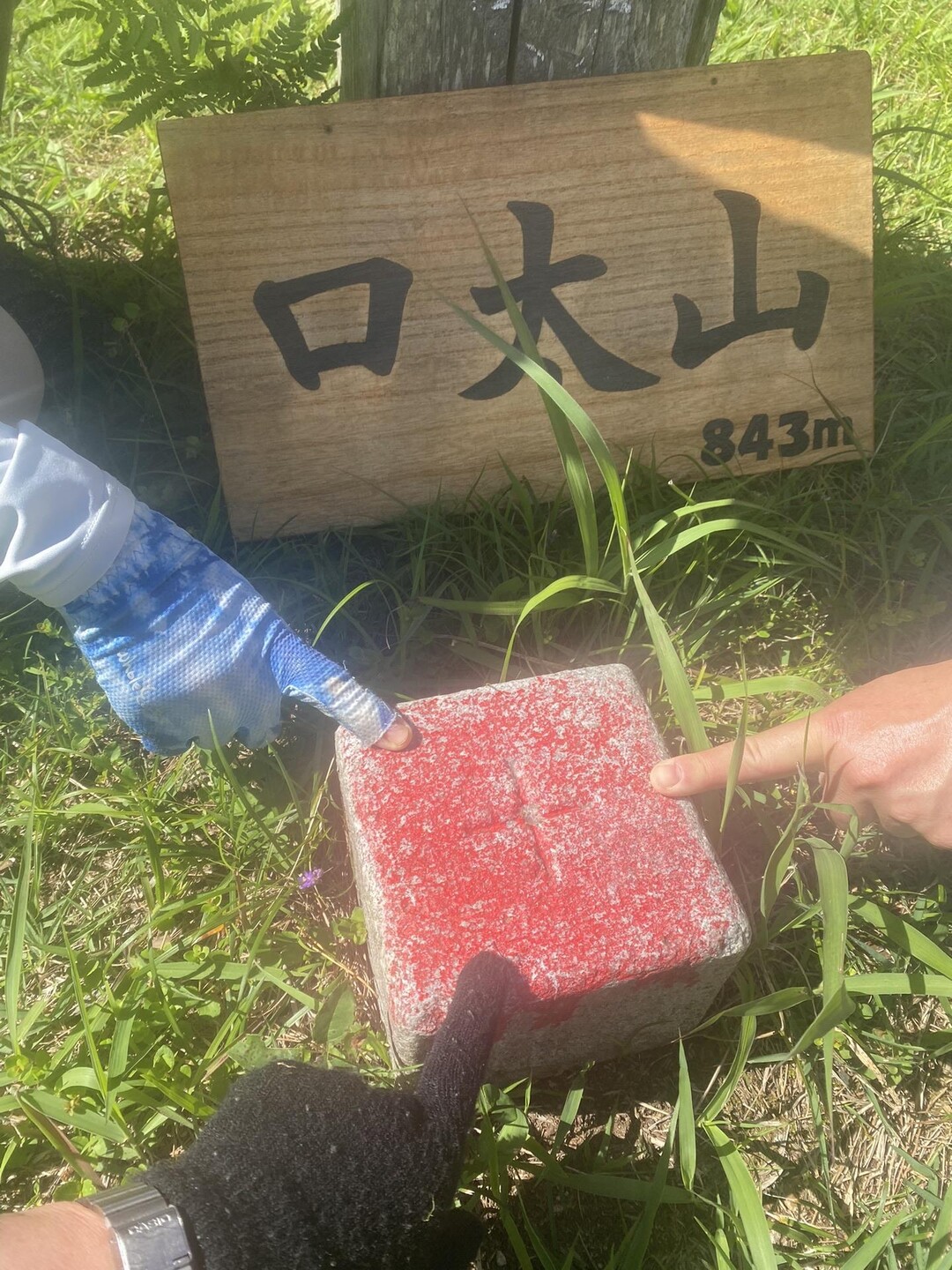 口太山→女神山→桃パフェ🍑 / sanaviさんの口太山の活動データ | YAMAP / ヤマップ