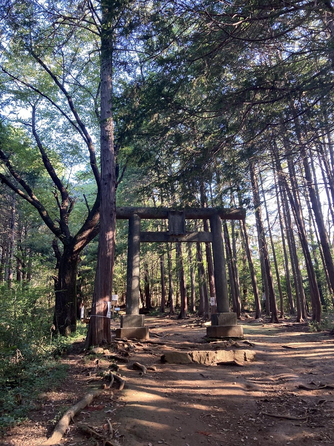 今日は山の日😊日和田山〜北向地蔵⛰ / tae0218さんの日和田山・物見山の活動日記 | YAMAP / ヤマップ