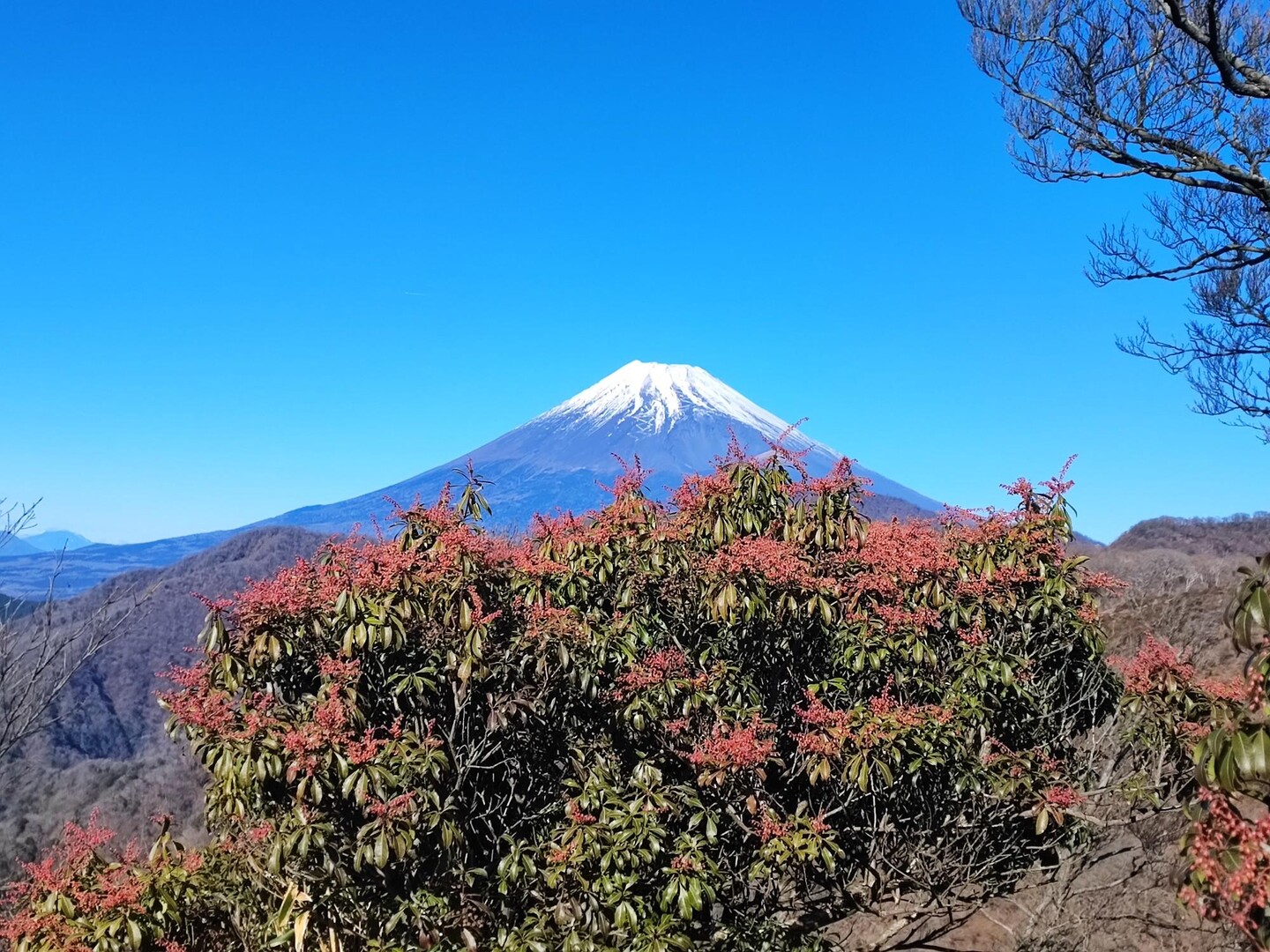 愛鷹山 / odanさんの愛鷹山・大岳・黒岳の活動データ | YAMAP / ヤマップ