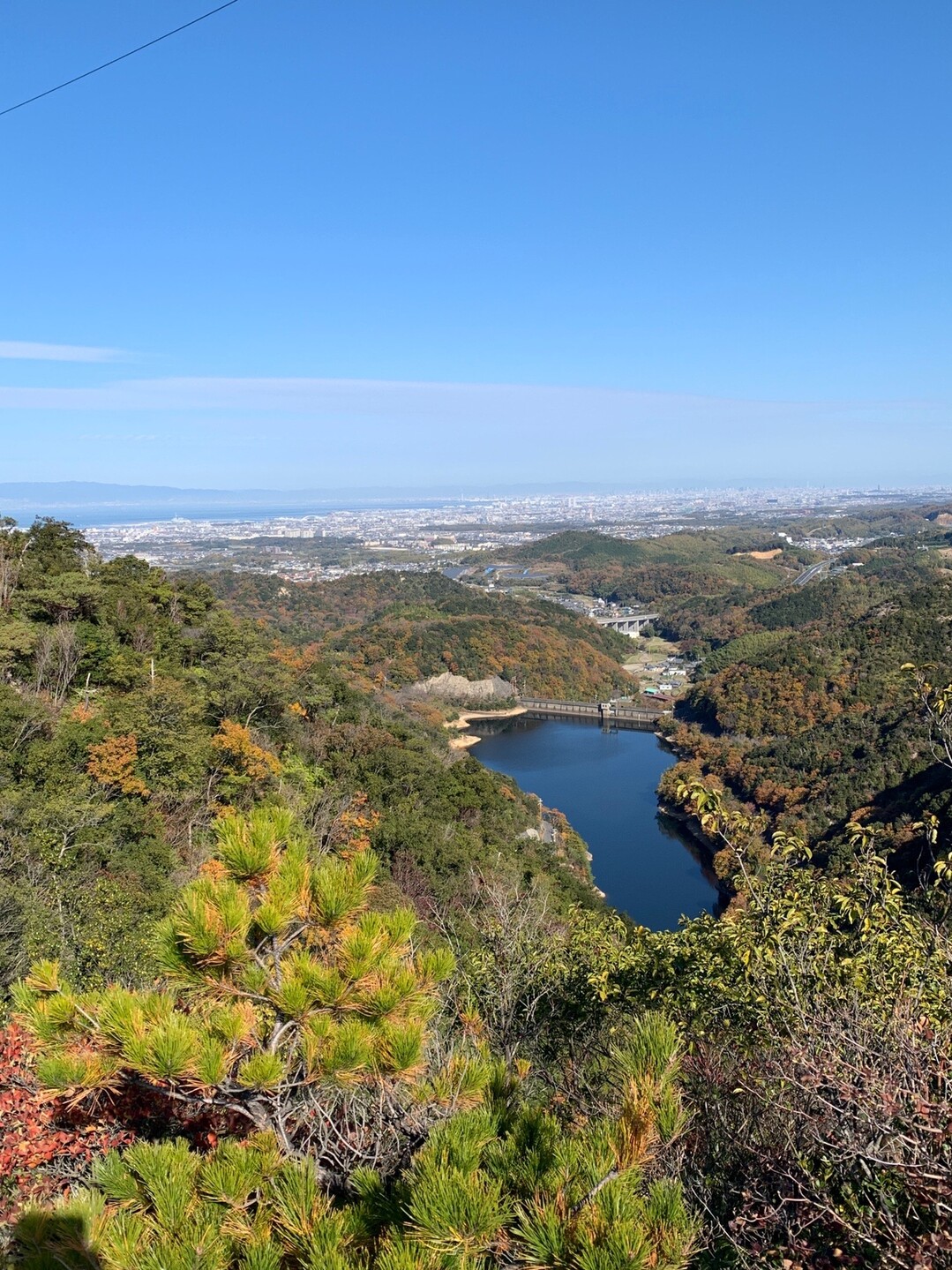 和田山・雨山・小富士山 / iwanemanさんの雨山の活動データ | YAMAP / ヤマップ