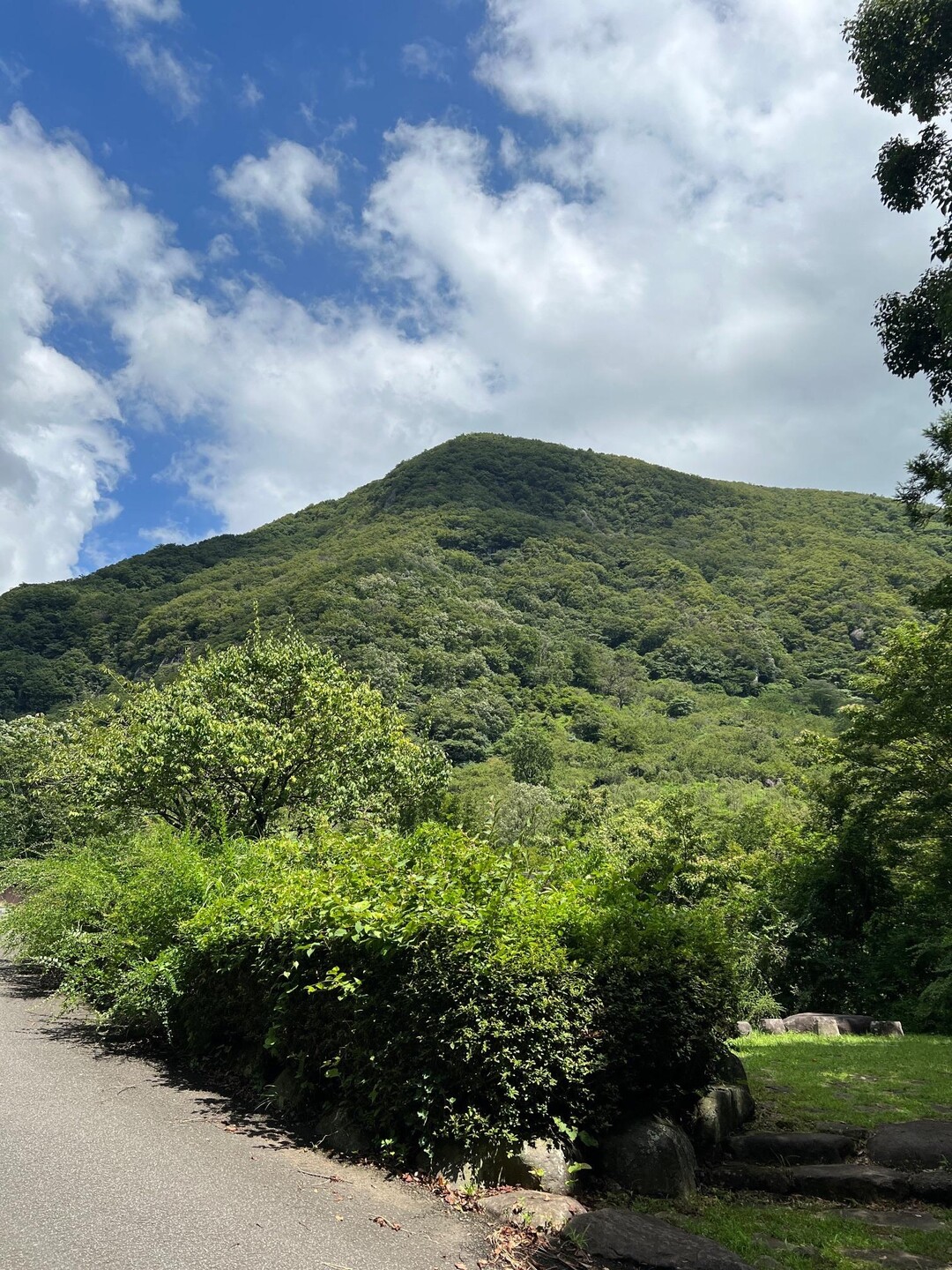 苦行だった幕山(関東百名山etc) / 多摩コップさんの幕山・南郷山の活動データ | YAMAP / ヤマップ