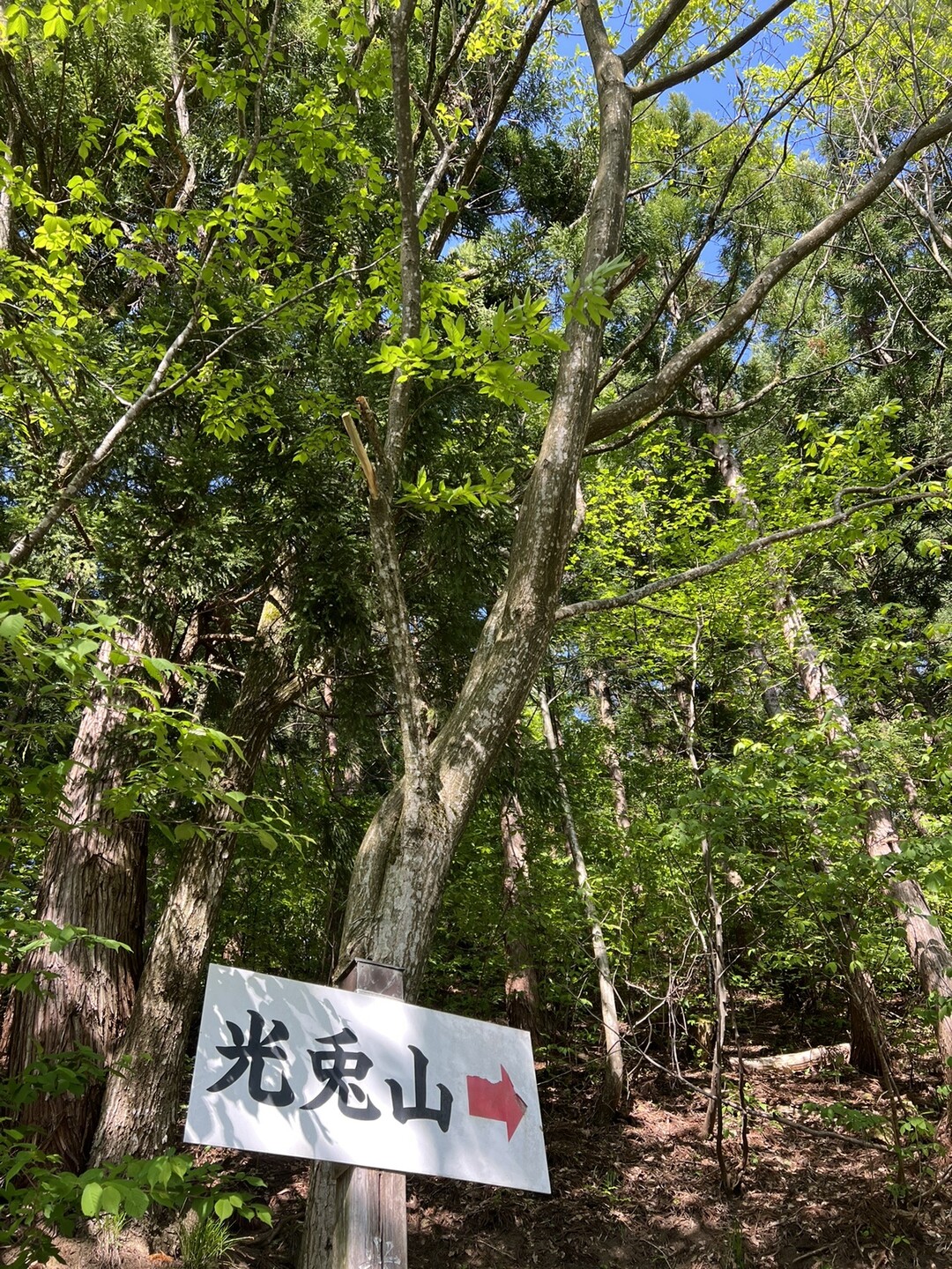 奥山（虚空蔵峰）・観音峰・雷峰・光兎山 / unicoさんの光兎山・奥山（虚空蔵峰）の活動日記 | YAMAP / ヤマップ