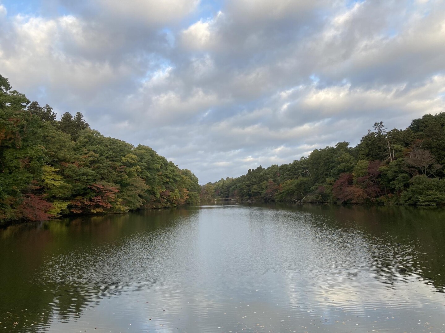 おはようございます^ ^ 今朝はたくさ... / OBsunさんのモーメント | YAMAP / ヤマップ