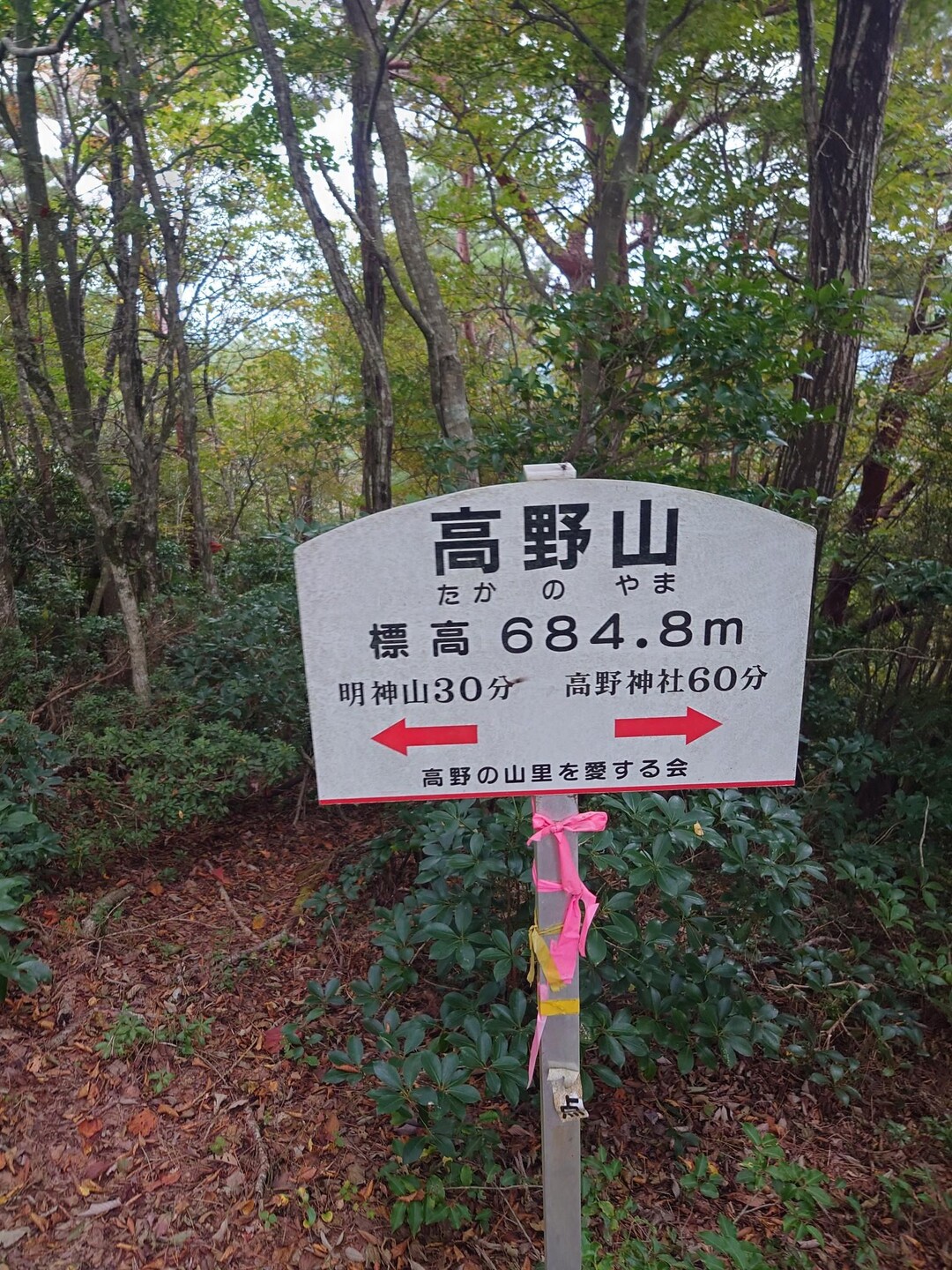 白鹿背山（東光寺山）・明神山・高野山 / palさんの日本コバの活動データ | YAMAP / ヤマップ